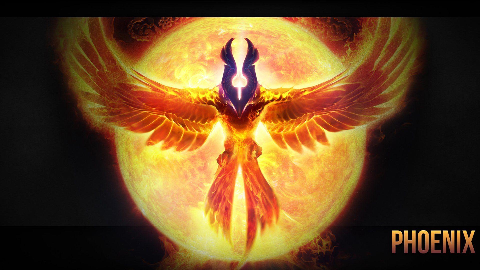 Phoenix Bird HD Wallpapers - Top Free Phoenix Bird HD Backgrounds ...