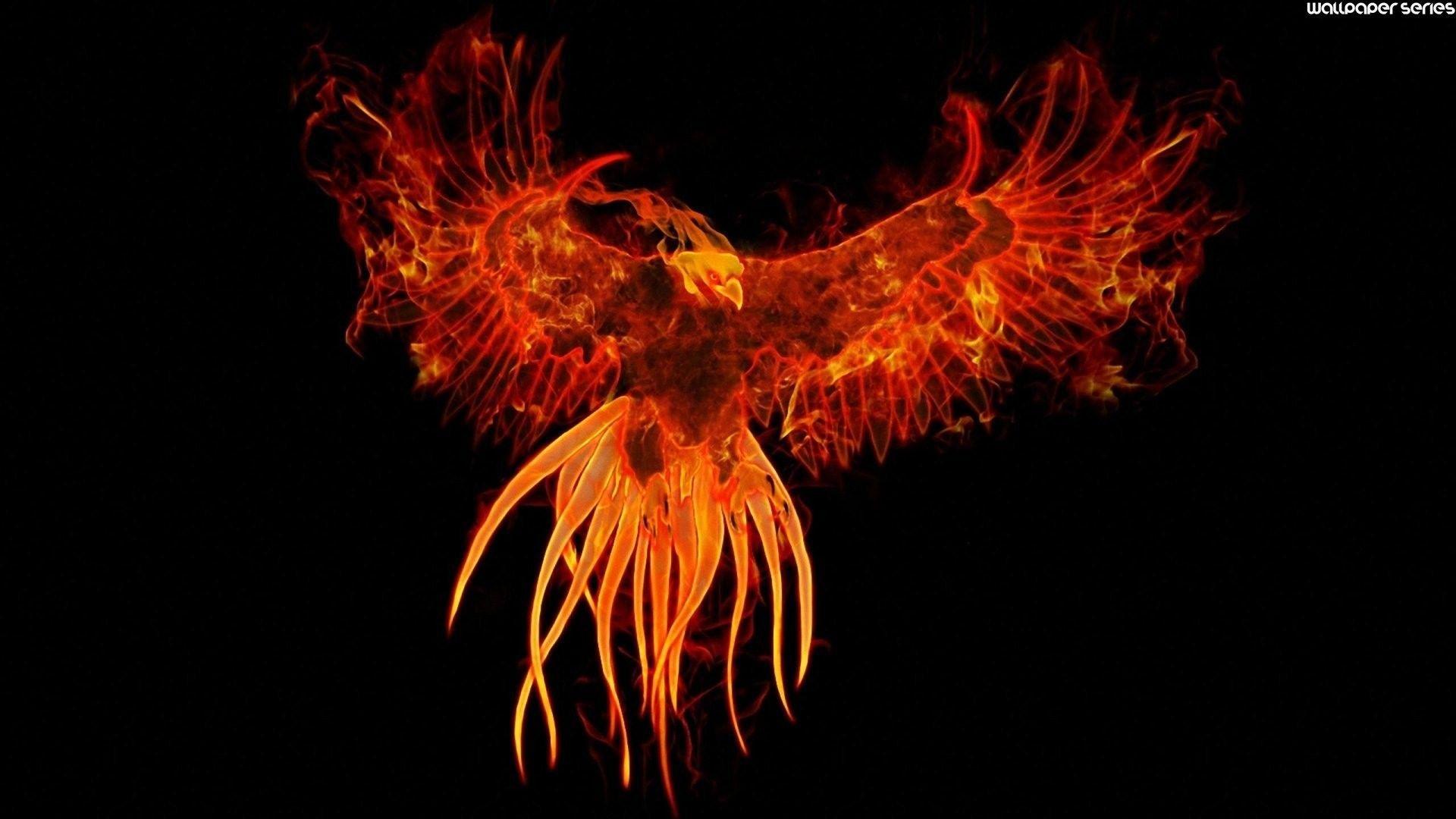 Phoenix Bird HD Wallpapers - Top Free Phoenix Bird HD Backgrounds ...