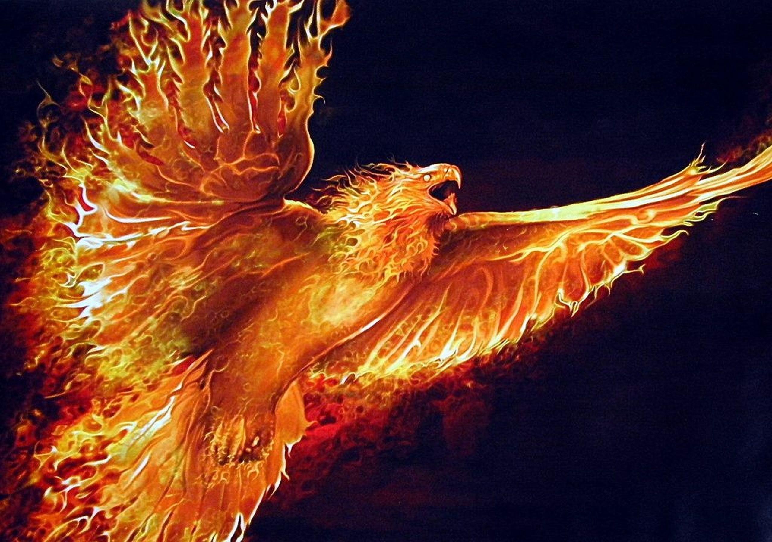 Phoenix Bird HD Wallpapers - Top Free Phoenix Bird HD Backgrounds ...
