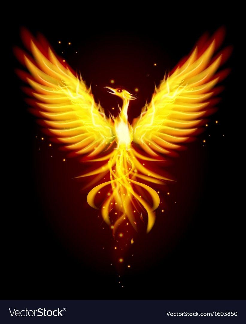 Phoenix Bird HD Wallpapers - Top Free Phoenix Bird HD Backgrounds ...