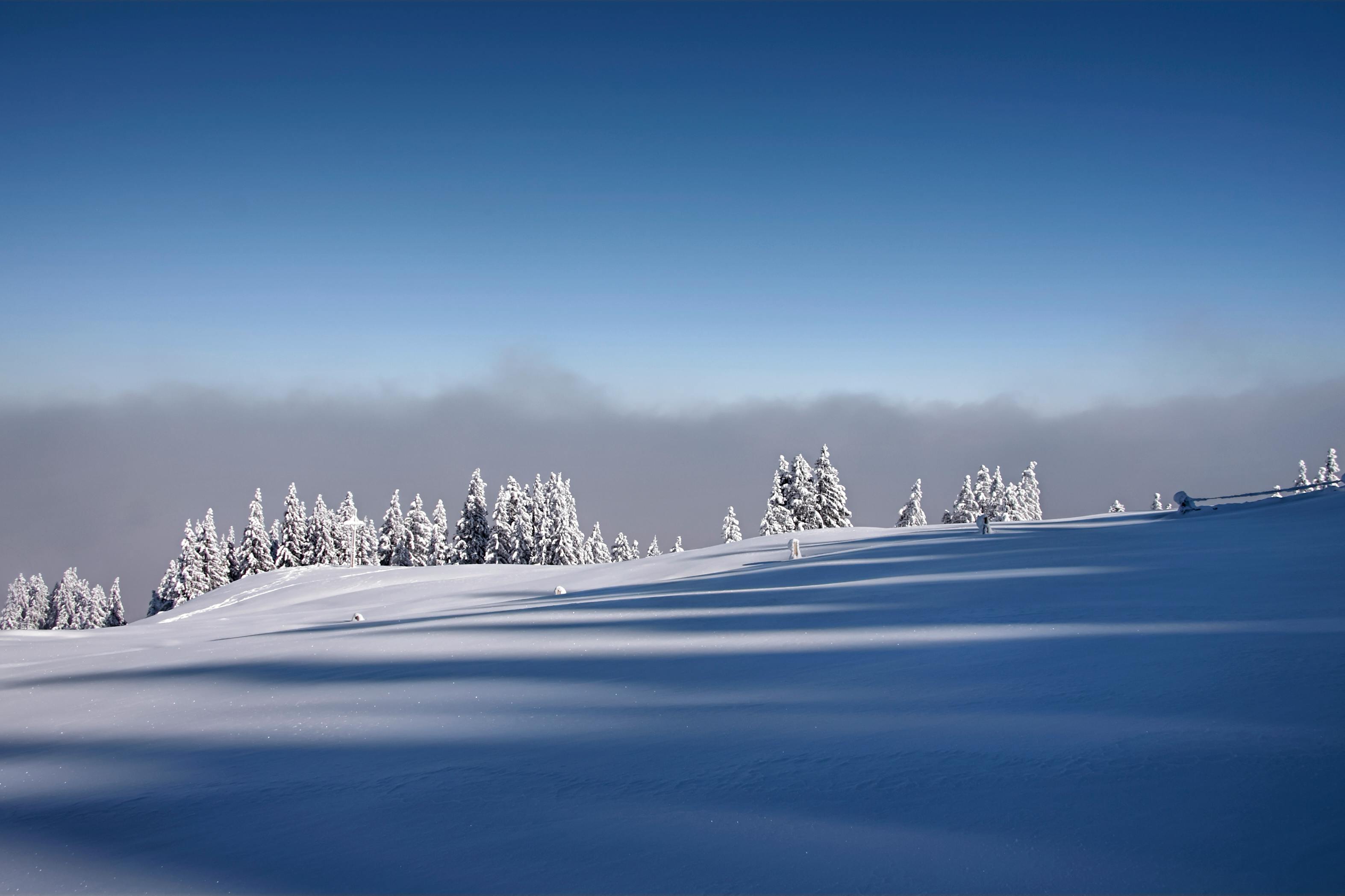 Snow Field Wallpapers - Top Free Snow Field Backgrounds - WallpaperAccess