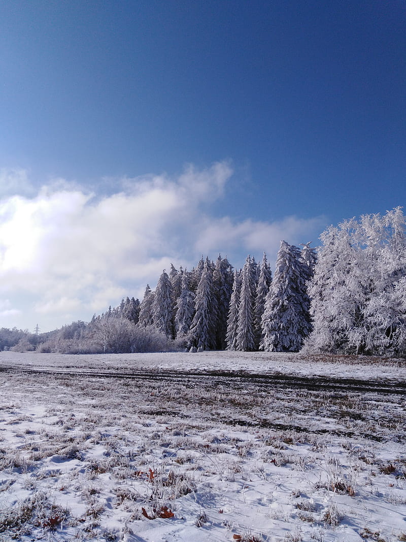 Snow Field Wallpapers - Top Free Snow Field Backgrounds - WallpaperAccess