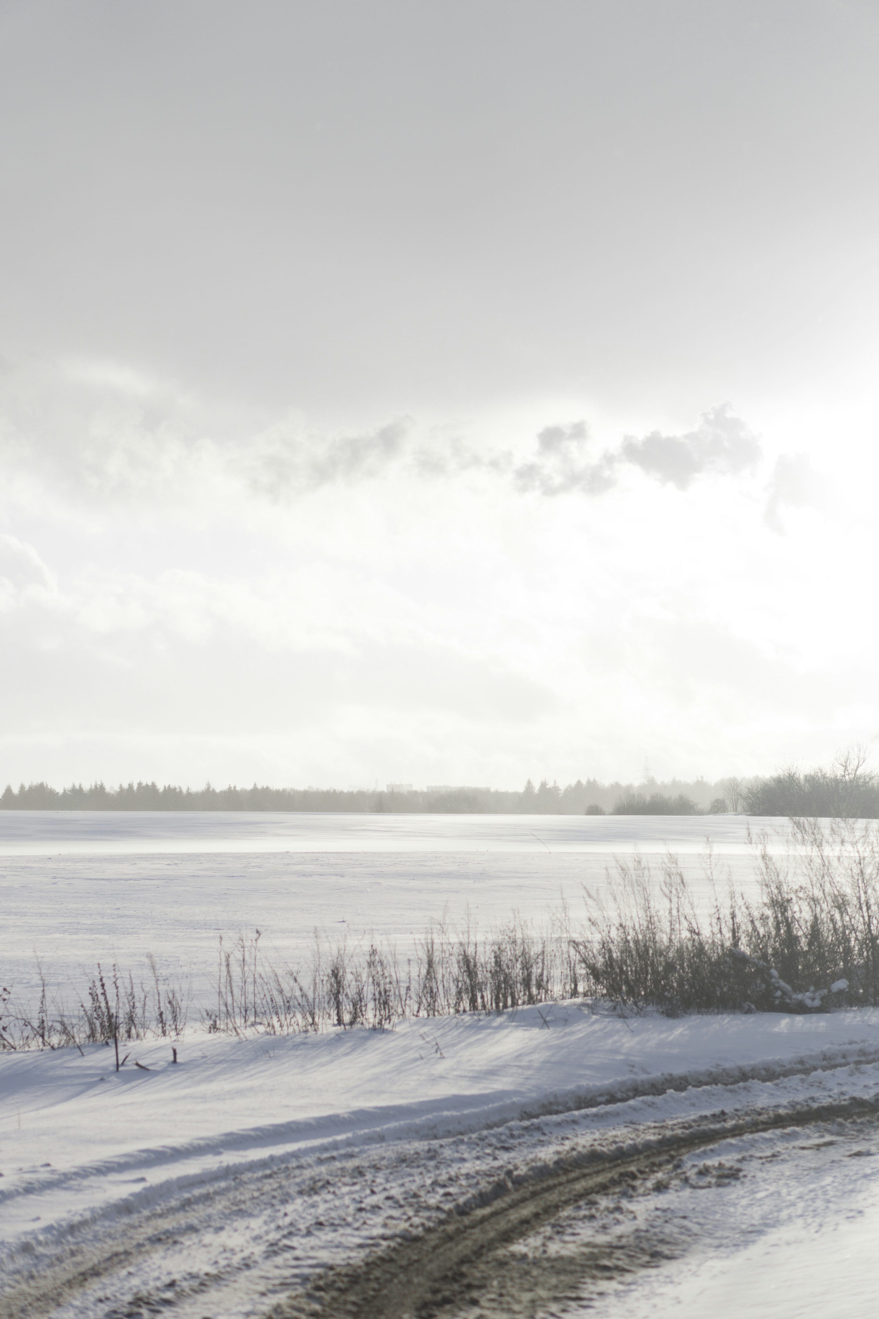 Snow Field Wallpapers - Top Free Snow Field Backgrounds - WallpaperAccess