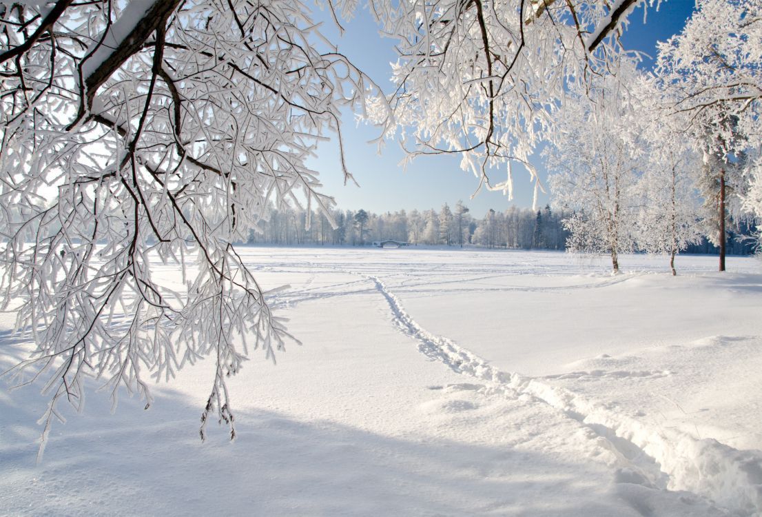 Snow Field Wallpapers - Top Free Snow Field Backgrounds - WallpaperAccess