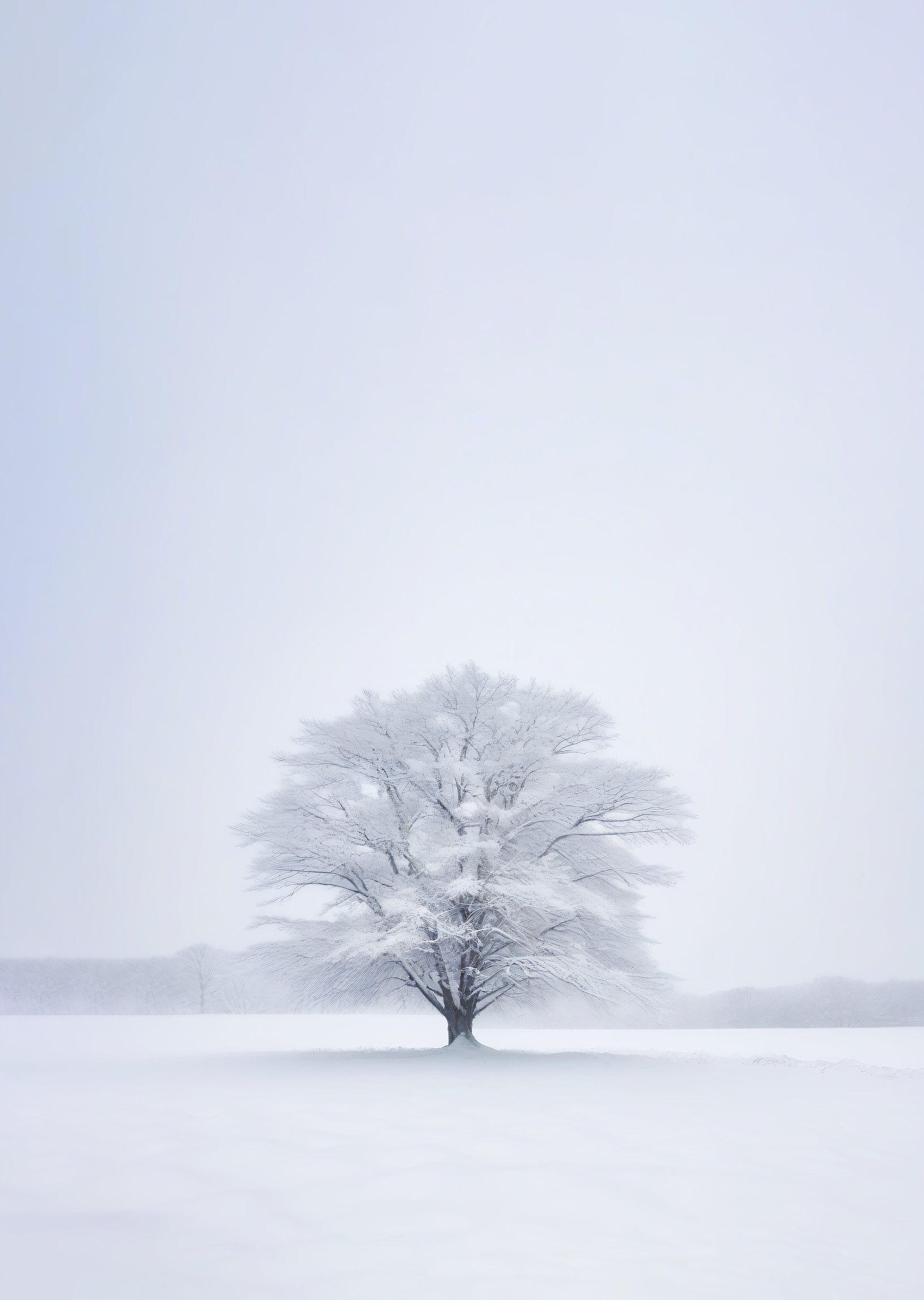 Snow Field Wallpapers - Top Free Snow Field Backgrounds - WallpaperAccess