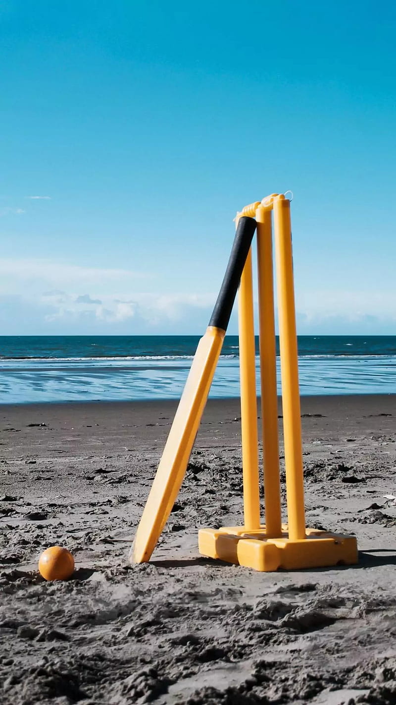 Wicket Wallpapers - Top Free Wicket Backgrounds - WallpaperAccess