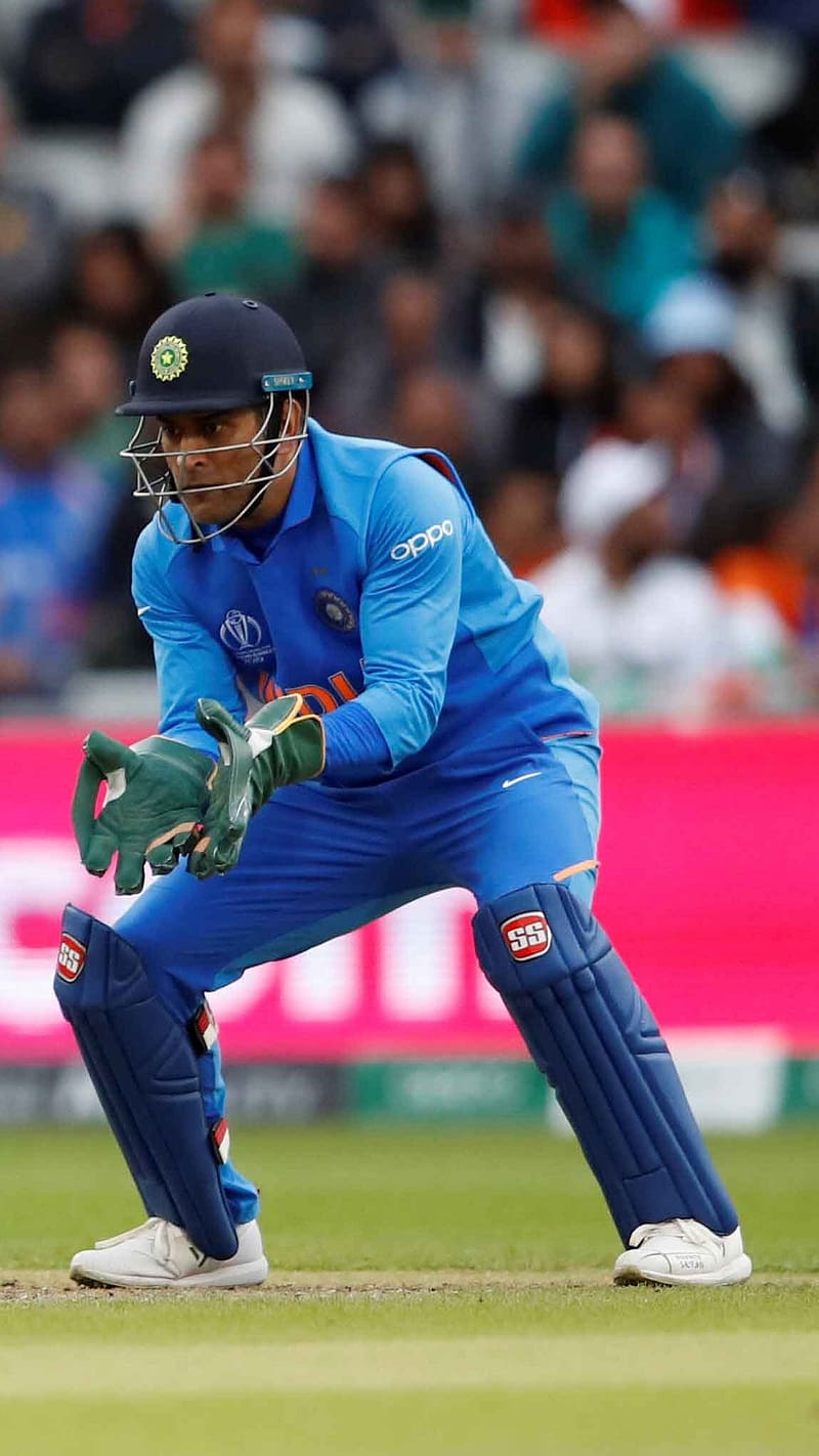 Wicket Wallpapers - Top Free Wicket Backgrounds - WallpaperAccess