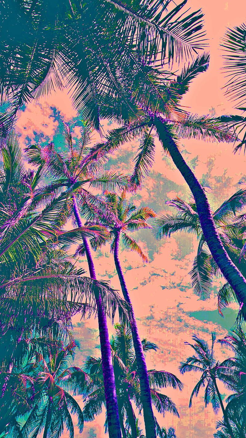 Chillax Wallpapers - Top Free Chillax Backgrounds - WallpaperAccess