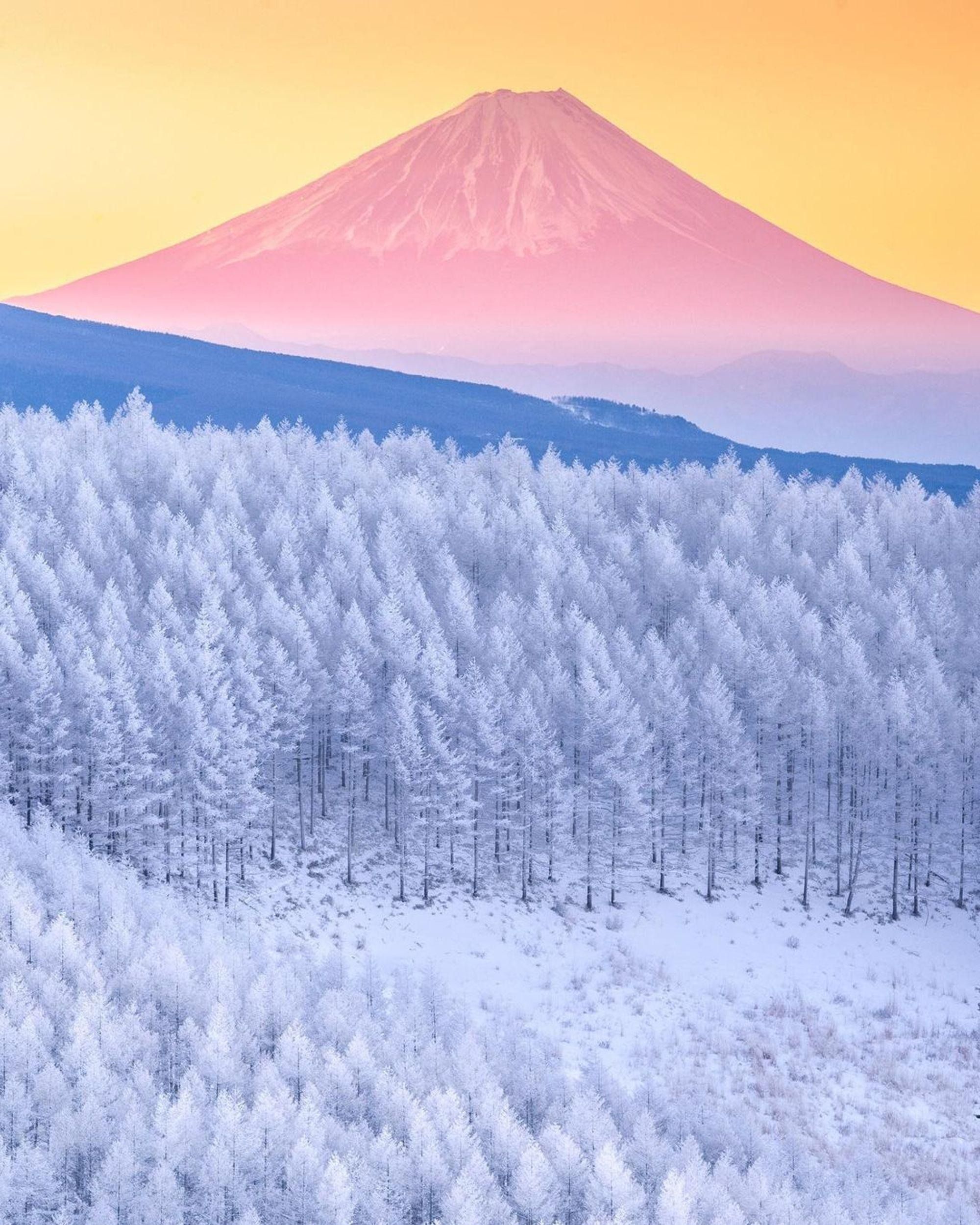 Gunung Fuji Wallpapers - Top Free Gunung Fuji Backgrounds - WallpaperAccess