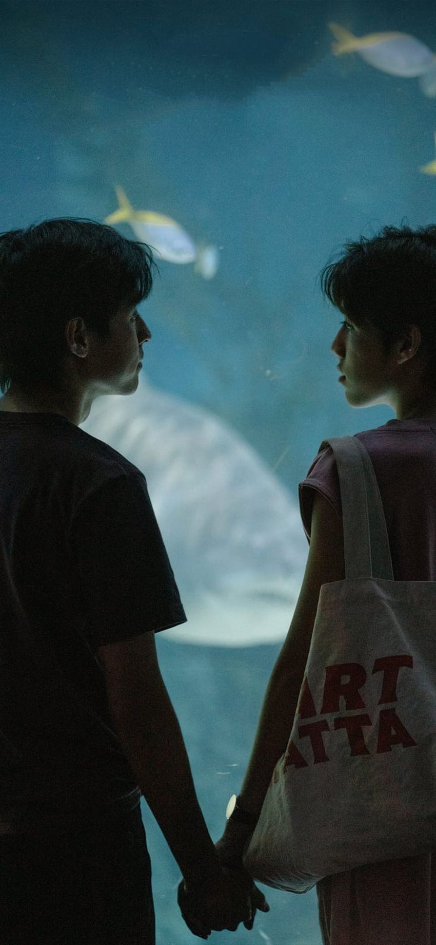 BKPP Wallpapers - Top Free BKPP Backgrounds - WallpaperAccess