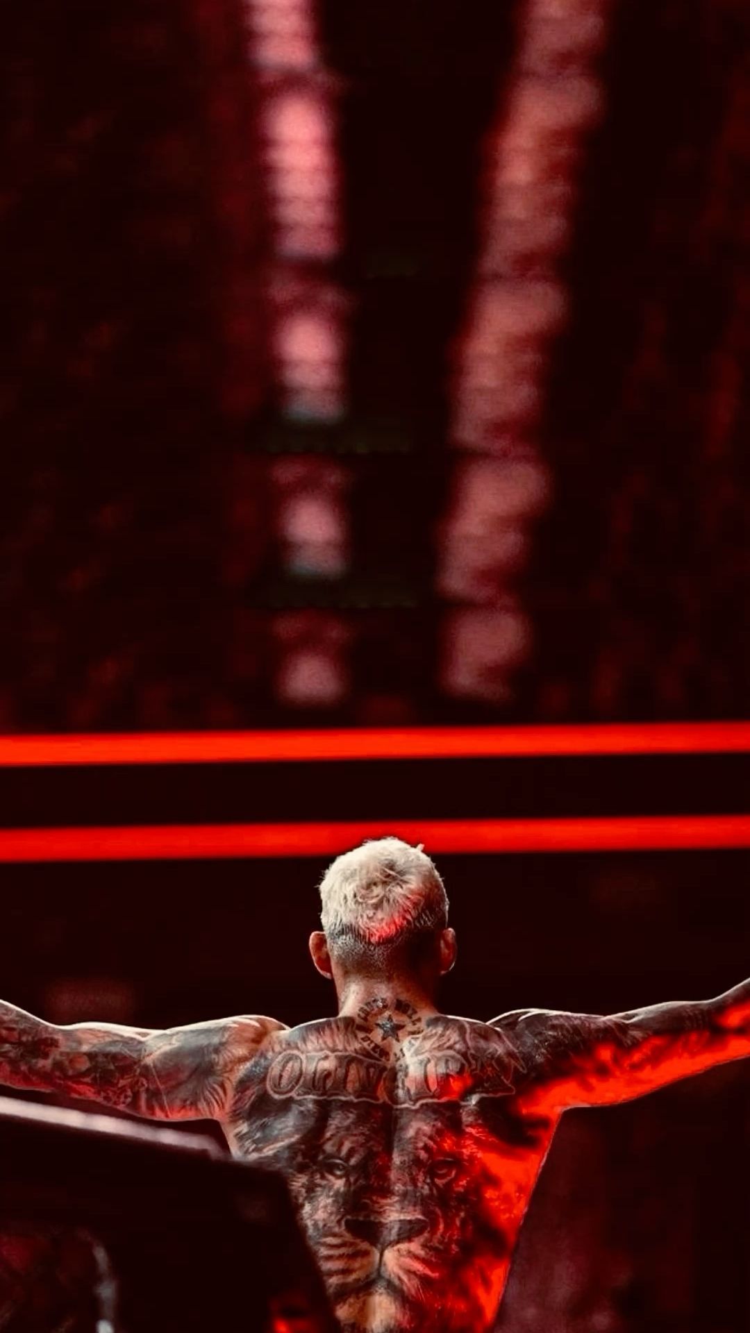 Charles Oliveria Wallpapers - Top Free Charles Oliveria Backgrounds ...