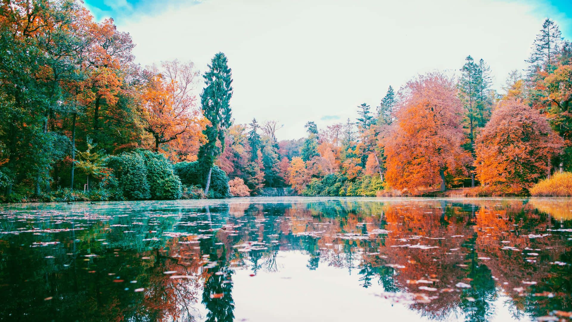 12k Nature Wallpapers - Top Free 12k Nature Backgrounds - WallpaperAccess