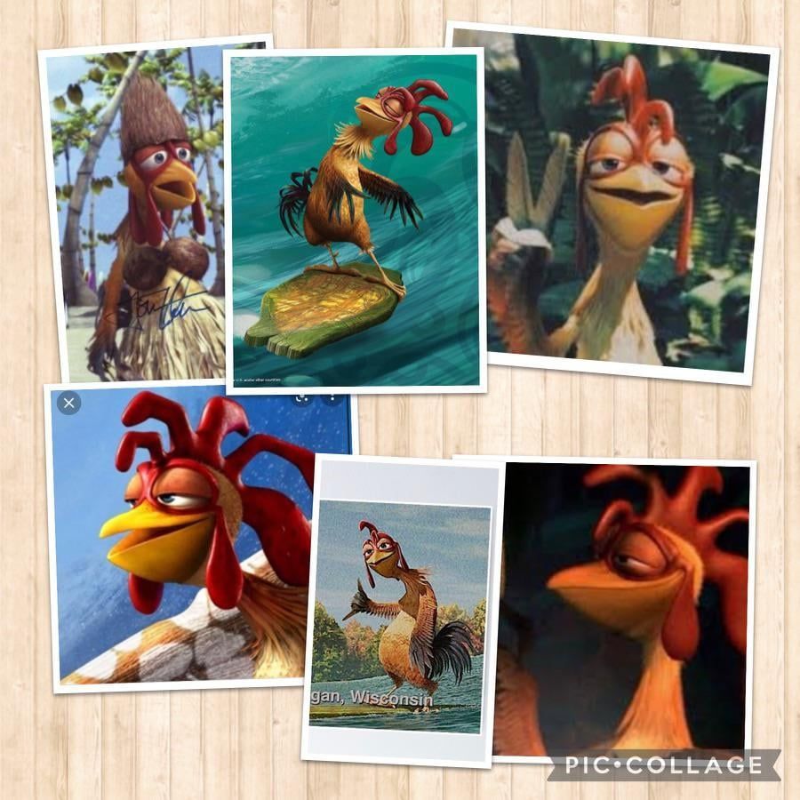 Chicken Joe Wallpapers - Top Free Chicken Joe Backgrounds - WallpaperAccess
