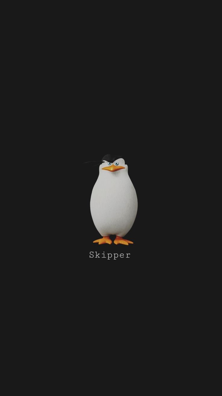 Skipper Wallpapers - Top Free Skipper Backgrounds - WallpaperAccess