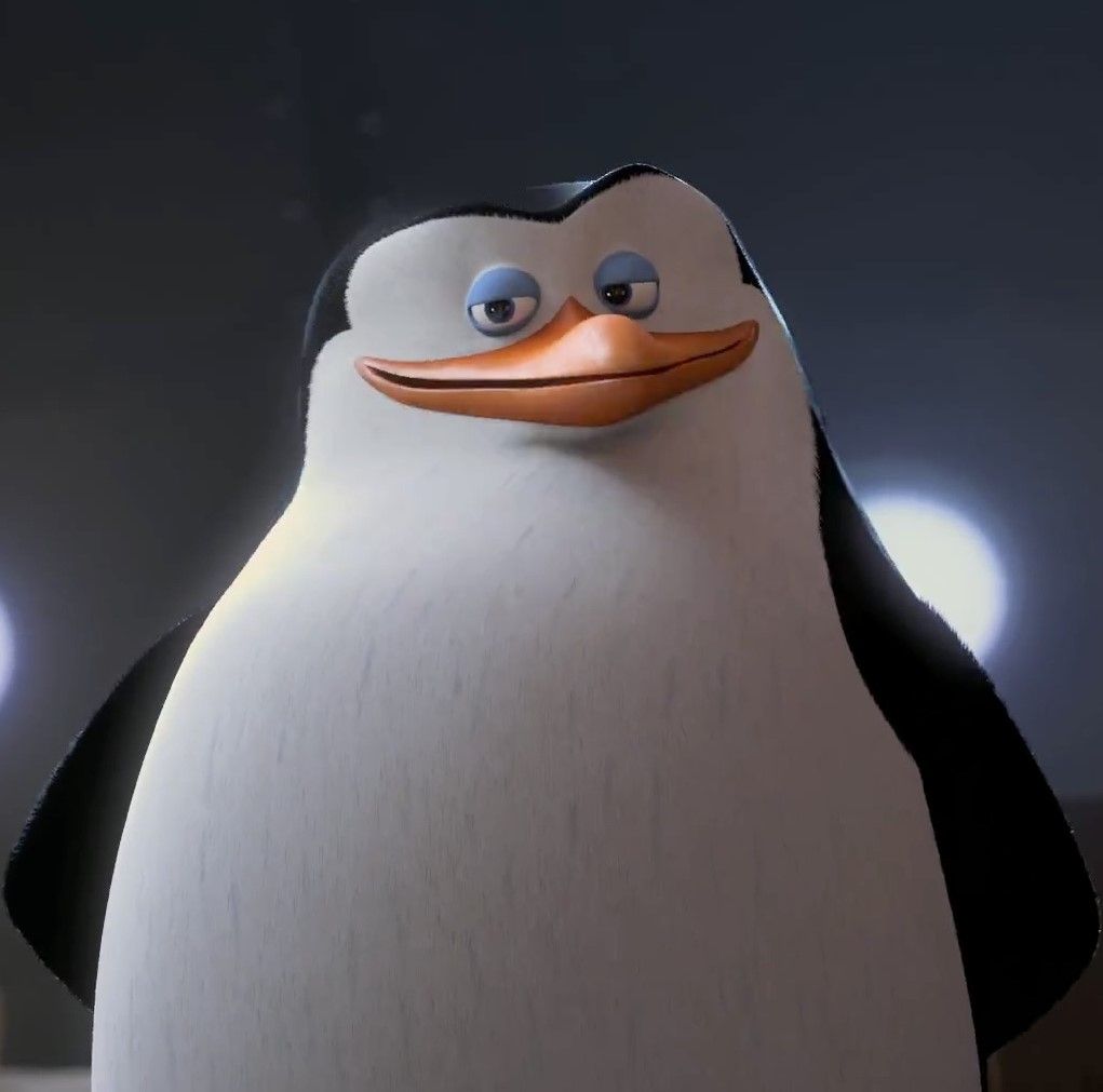 Skipper Wallpapers - Top Free Skipper Backgrounds - WallpaperAccess