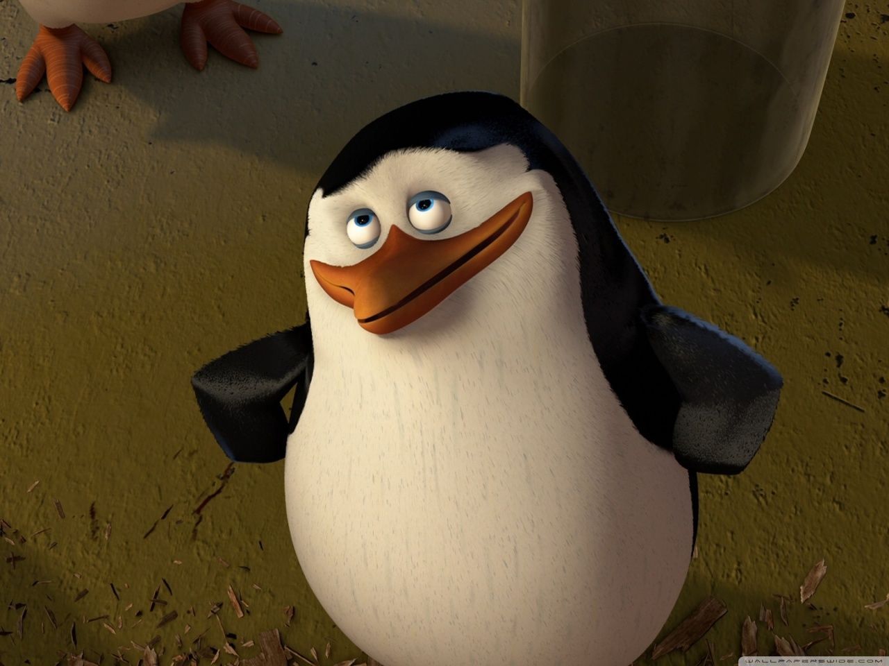 Skipper Wallpapers - Top Free Skipper Backgrounds - WallpaperAccess