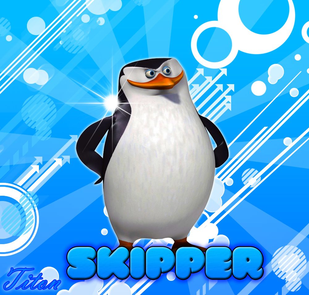 Skipper Wallpapers - Top Free Skipper Backgrounds - WallpaperAccess