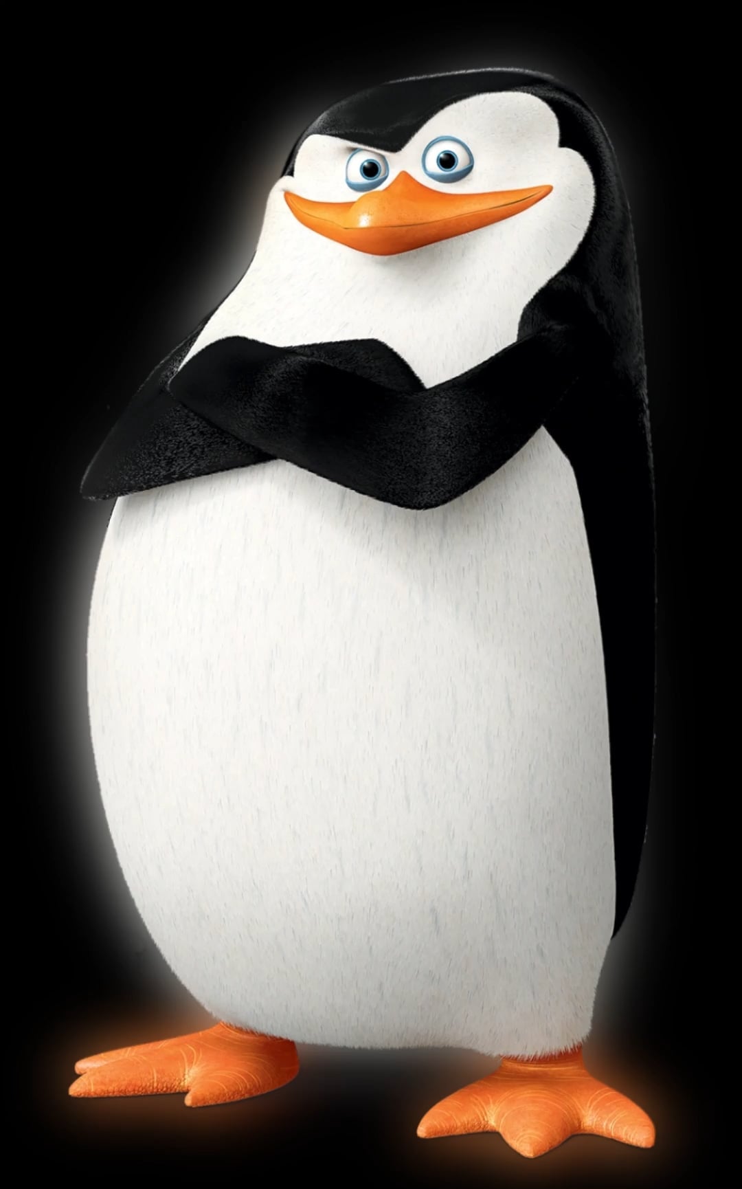 Skipper Wallpapers - Top Free Skipper Backgrounds - WallpaperAccess