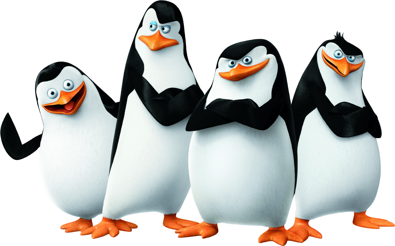 Skipper Wallpapers - Top Free Skipper Backgrounds - WallpaperAccess