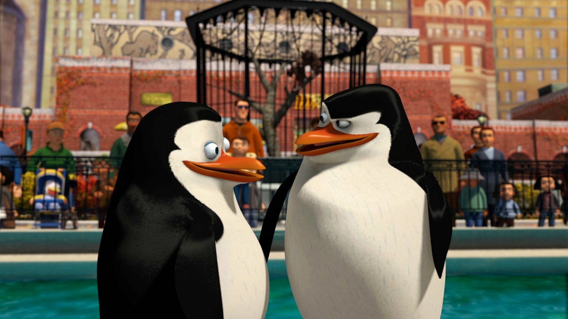 Skipper Wallpapers - Top Free Skipper Backgrounds - WallpaperAccess