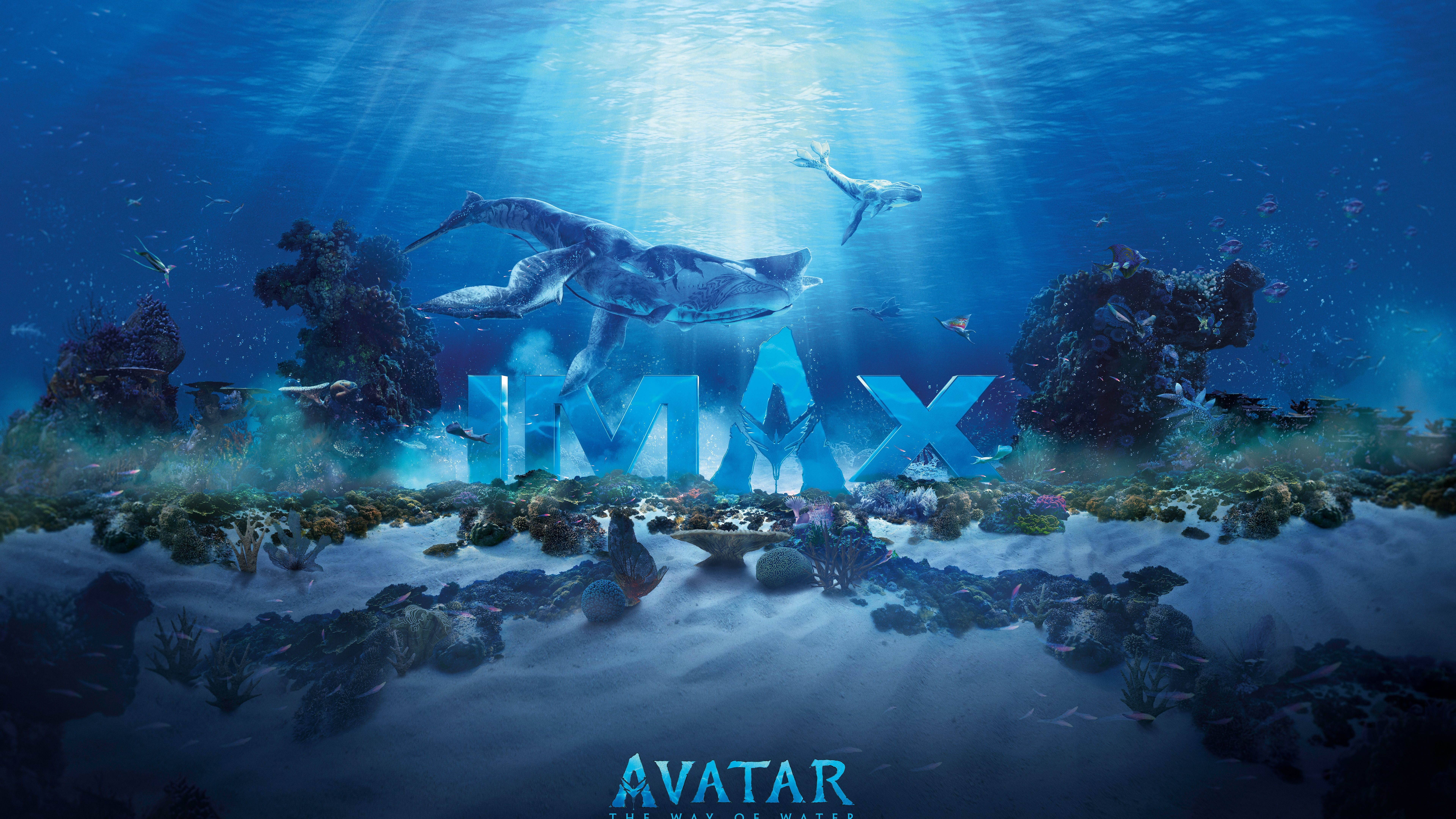 Imax Wallpapers - Top Free Imax Backgrounds - WallpaperAccess