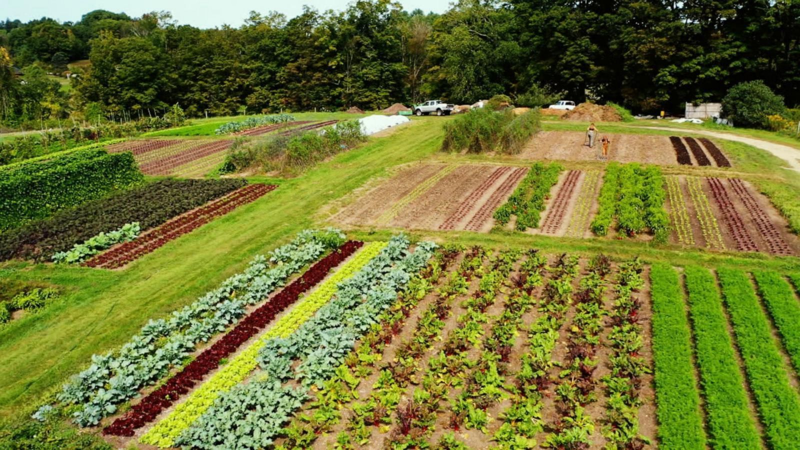 Vegetable Farm Wallpapers - Top Free Vegetable Farm Backgrounds ...