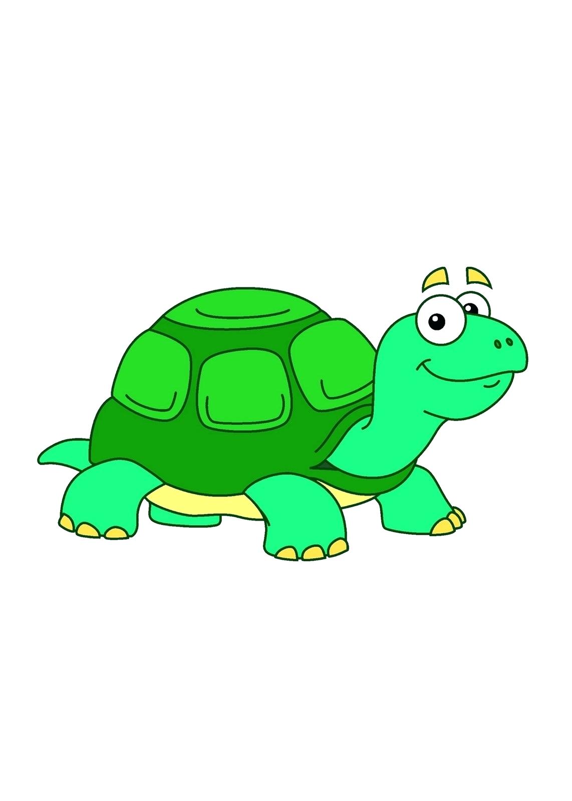 Animated Turtle Wallpapers - Top Free Animated Turtle Backgrounds ...