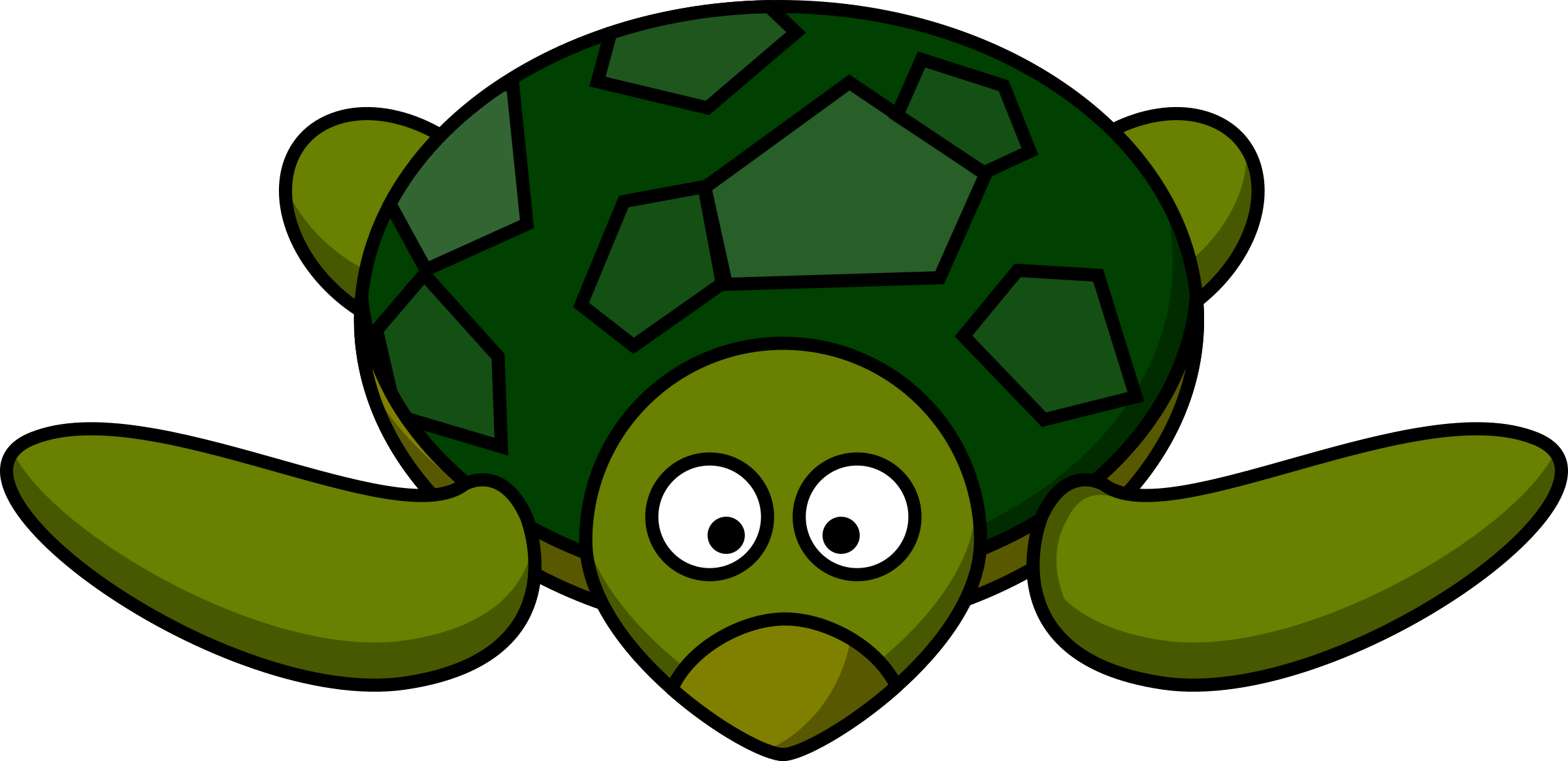 Animated Turtle Wallpapers - Top Free Animated Turtle Backgrounds ...
