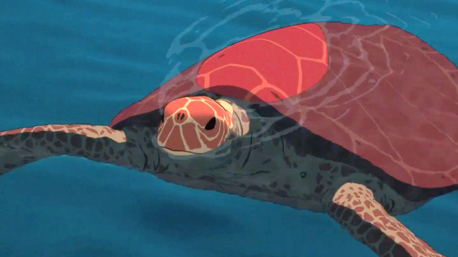 The Red Turtle Wallpapers - Top Free The Red Turtle Backgrounds ...