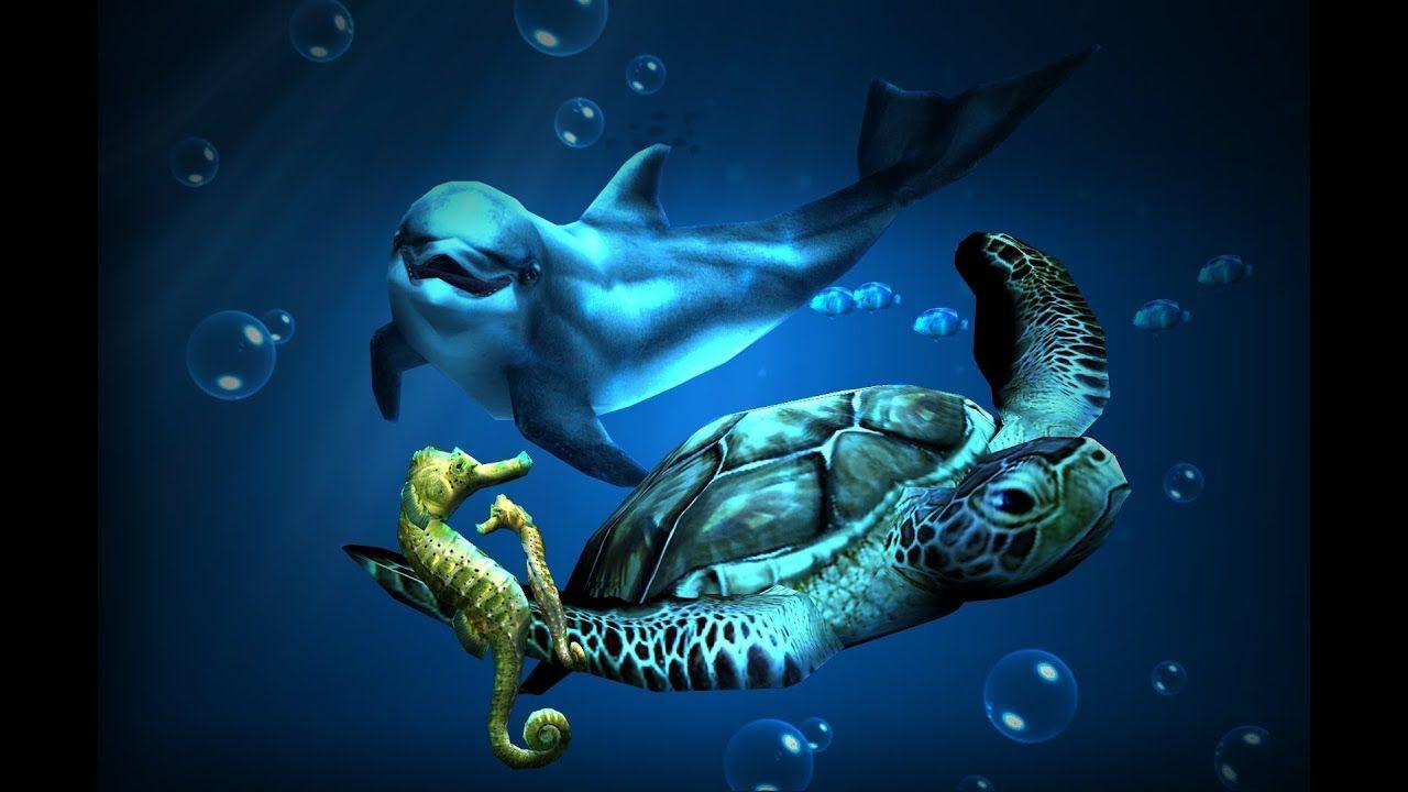 Sea Turtle Wallpapers - Top Free Sea Turtle Backgrounds - WallpaperAccess