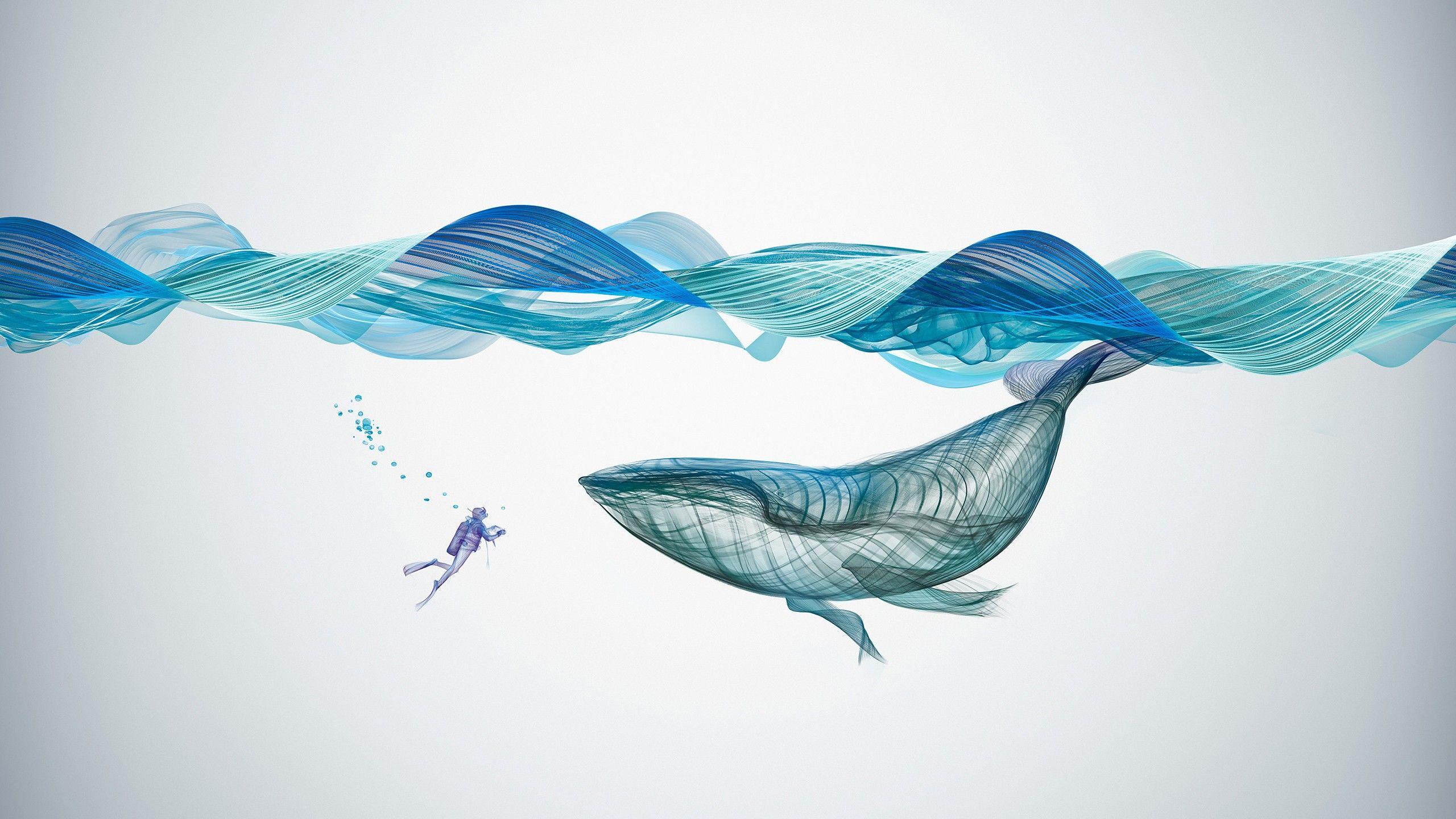 Cute Whale Wallpapers - Top Free Cute Whale Backgrounds - WallpaperAccess