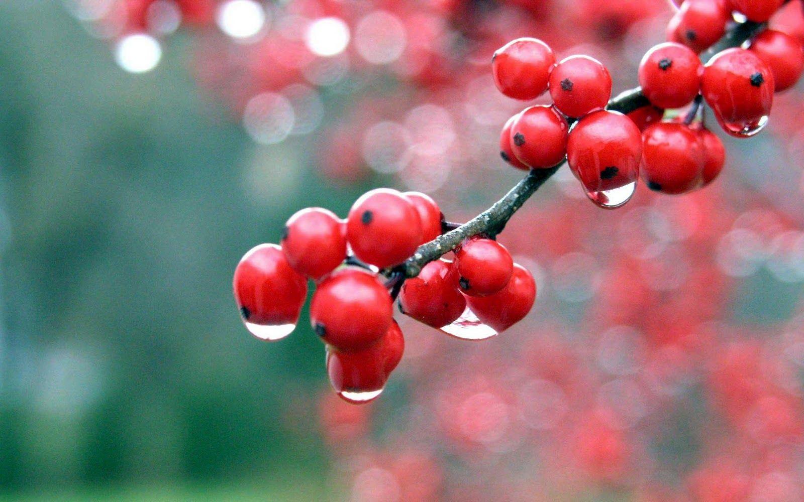 New Wallpapers - Top Free New Backgrounds - WallpaperAccess