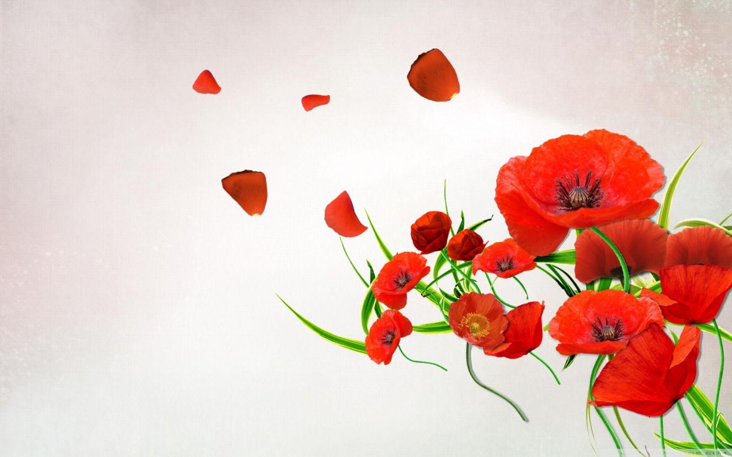 Poppy Flower Wallpapers - Top Free Poppy Flower Backgrounds ...