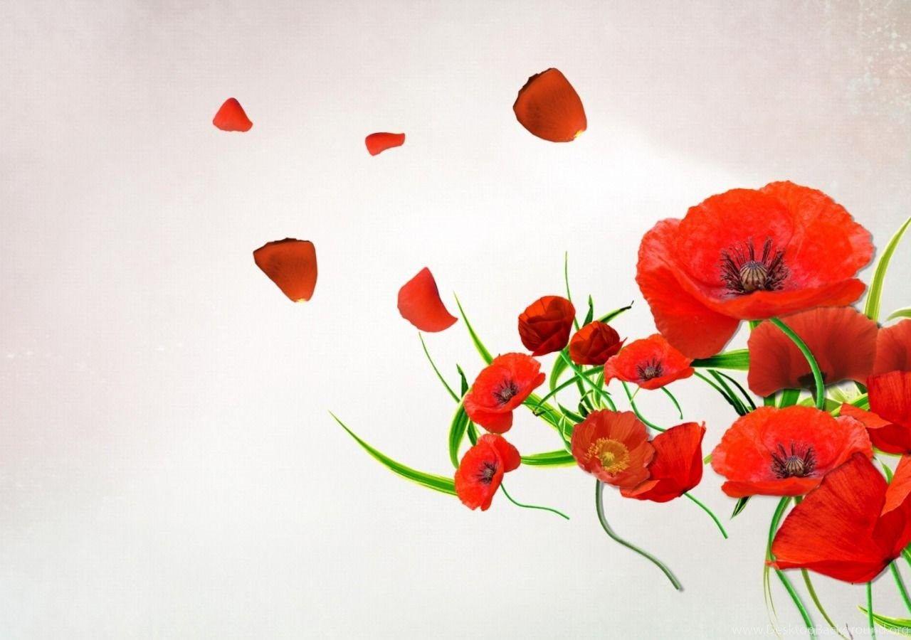 Red Poppy Wallpapers - Top Free Red Poppy Backgrounds - WallpaperAccess