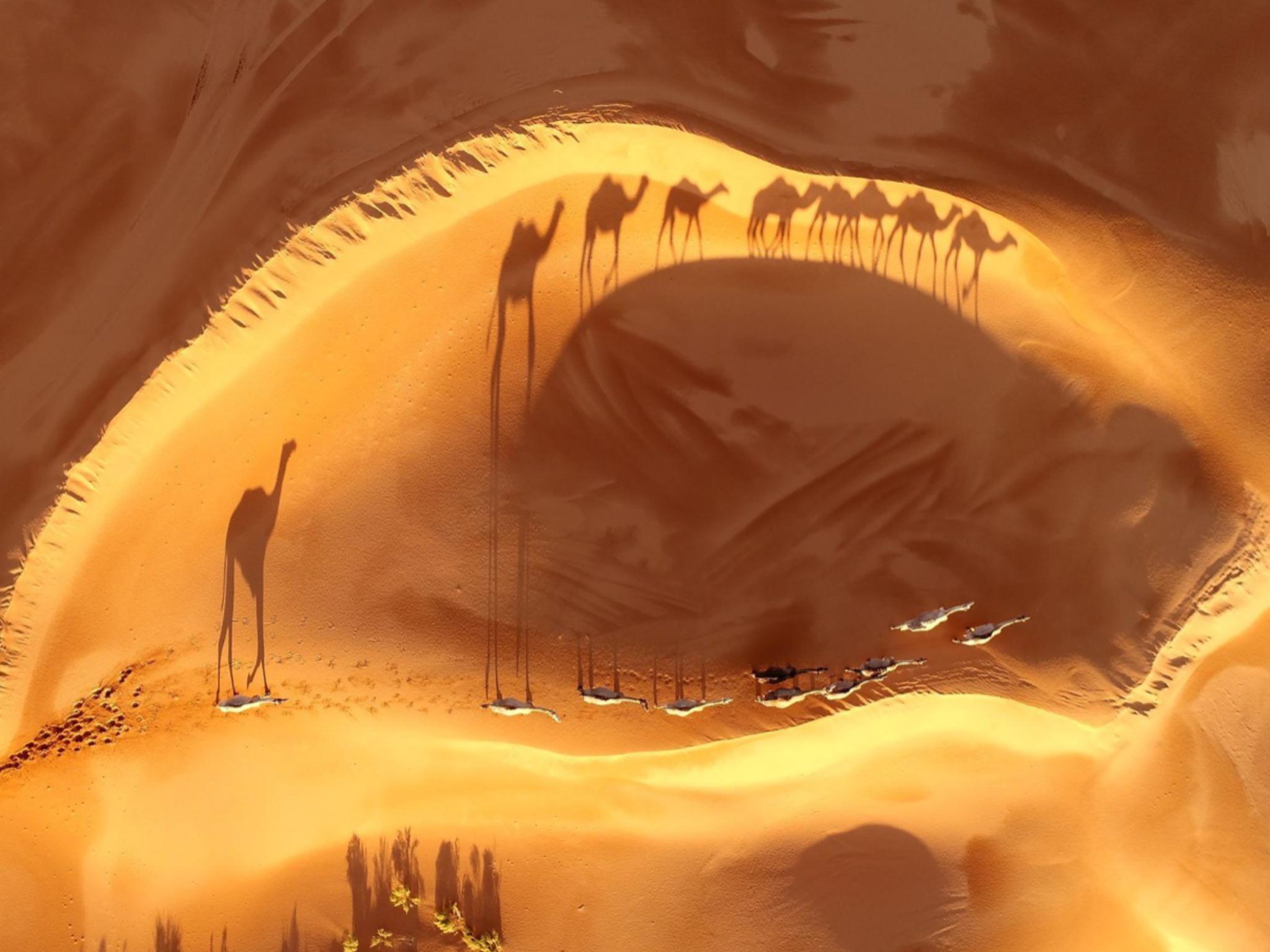 Riyadh Wallpapers - Top Free Riyadh Backgrounds - WallpaperAccess