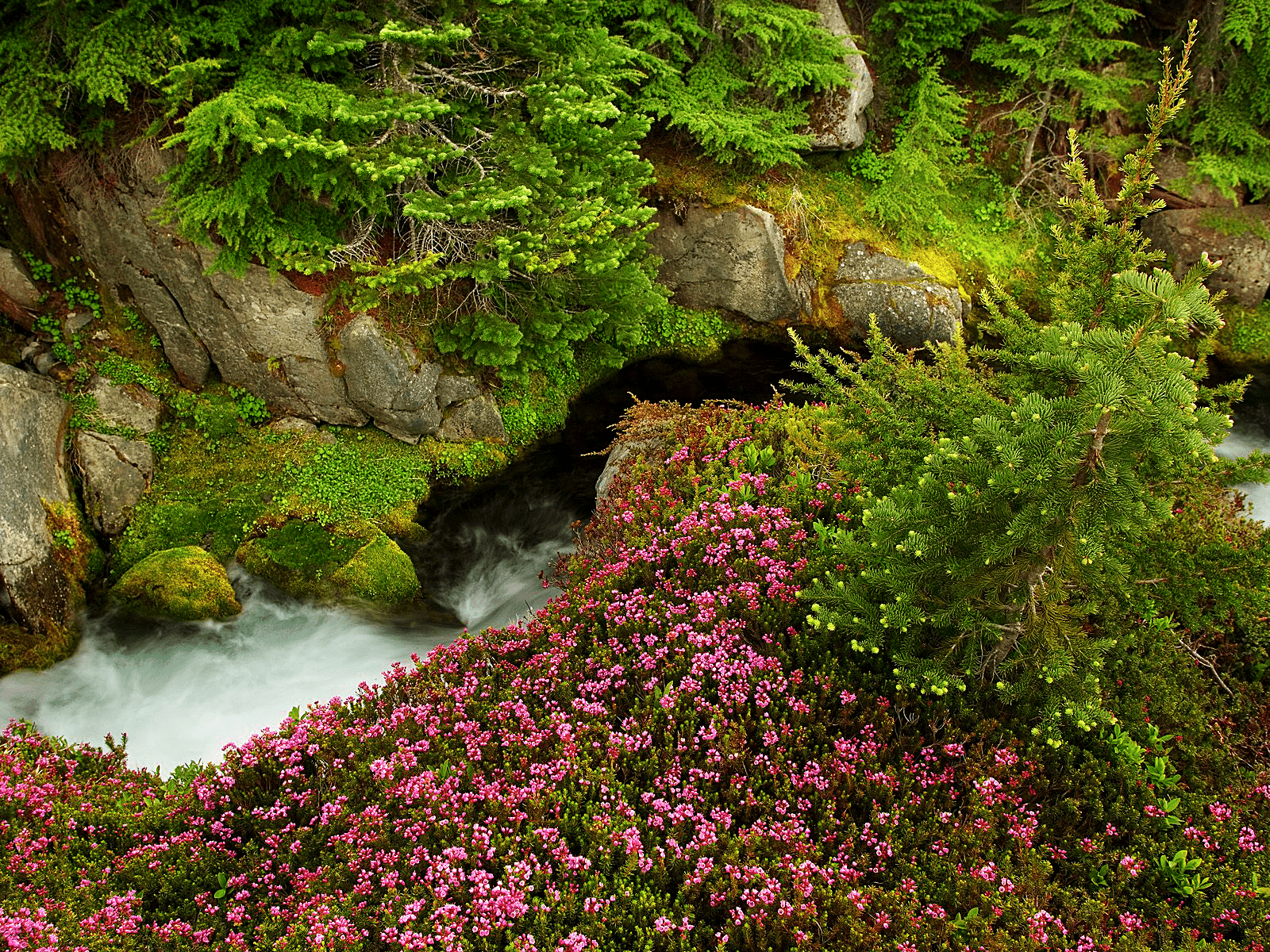 Washington Landscape Wallpapers - Top Free Washington Landscape ...