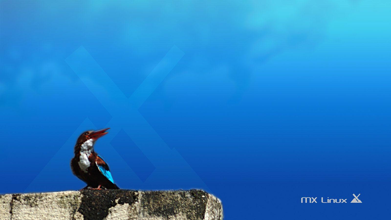 MX Linux Wallpapers - Top Free MX Linux Backgrounds - WallpaperAccess
