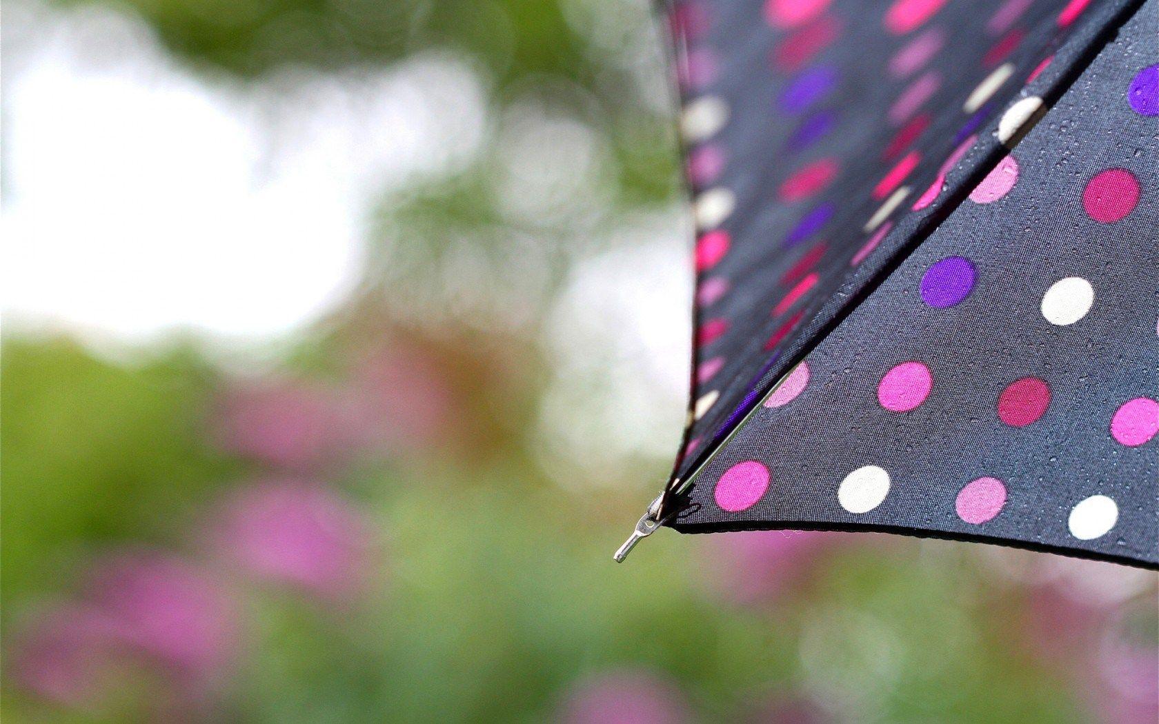 Rain Umbrella Wallpapers - Top Free Rain Umbrella Backgrounds ... Rain Umbrella Wallpapers - Top Free Rain Umbrella Backgrounds ...