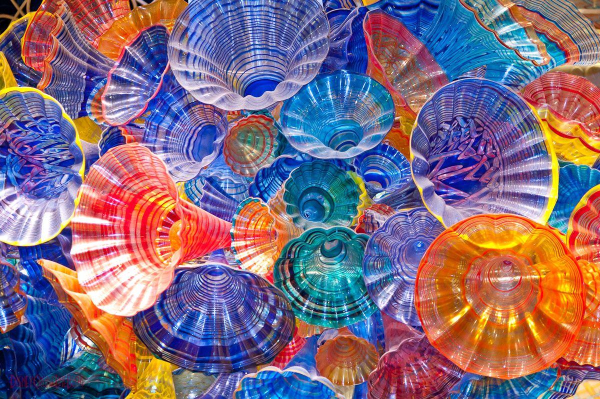 Chihuly Wallpapers - Top Free Chihuly Backgrounds - WallpaperAccess