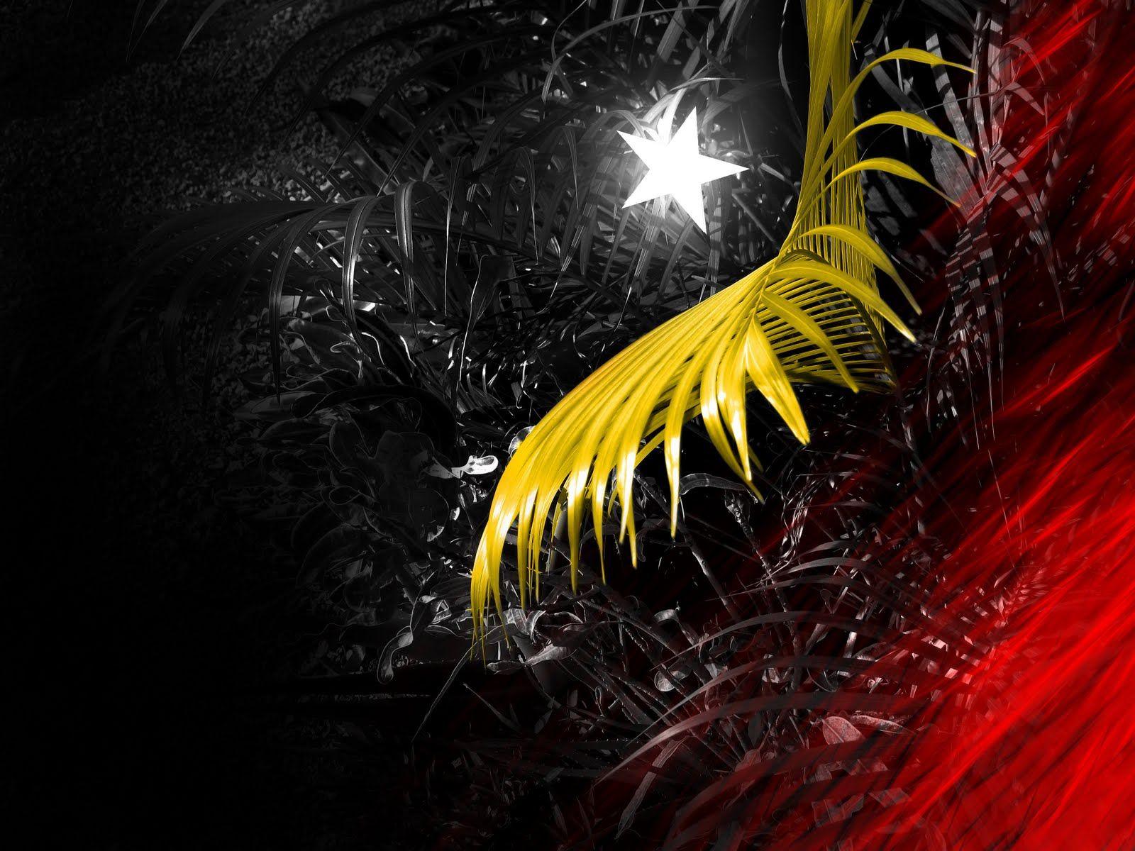 Timor Leste Wallpapers - Top Free Timor Leste Backgrounds - WallpaperAccess