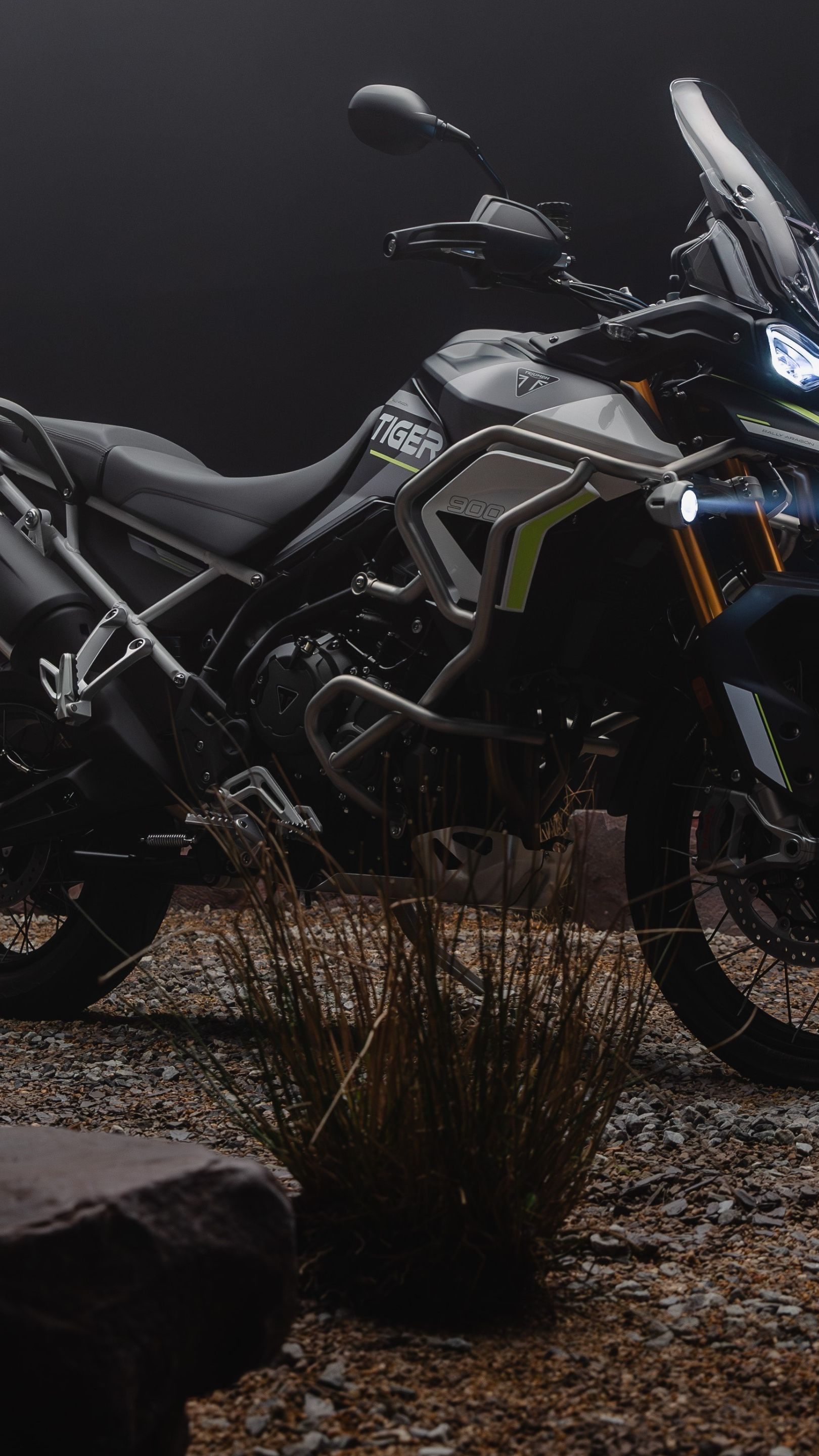 Tiger 900 Wallpapers - Top Free Tiger 900 Backgrounds - WallpaperAccess