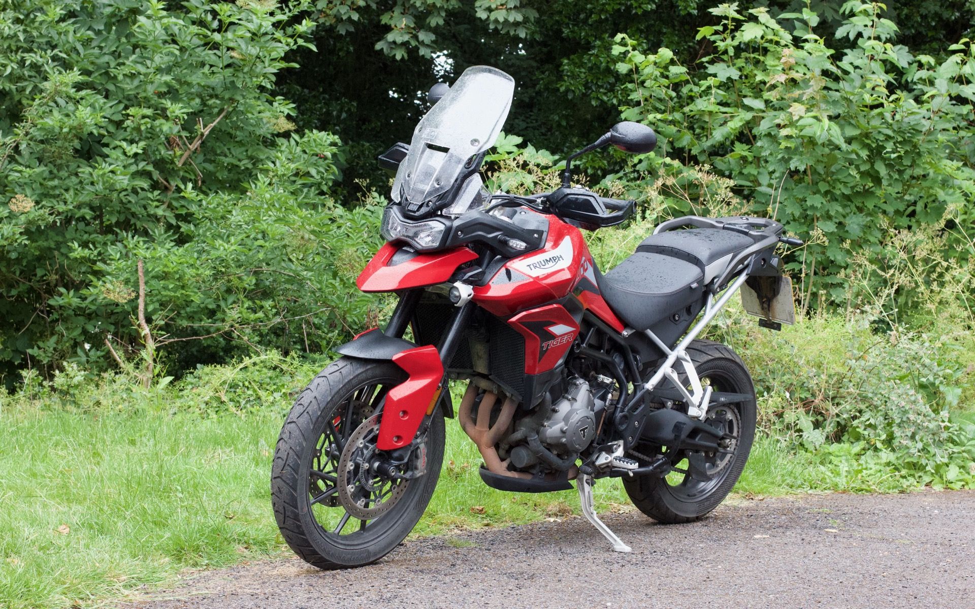 Tiger 900 Wallpapers - Top Free Tiger 900 Backgrounds - WallpaperAccess