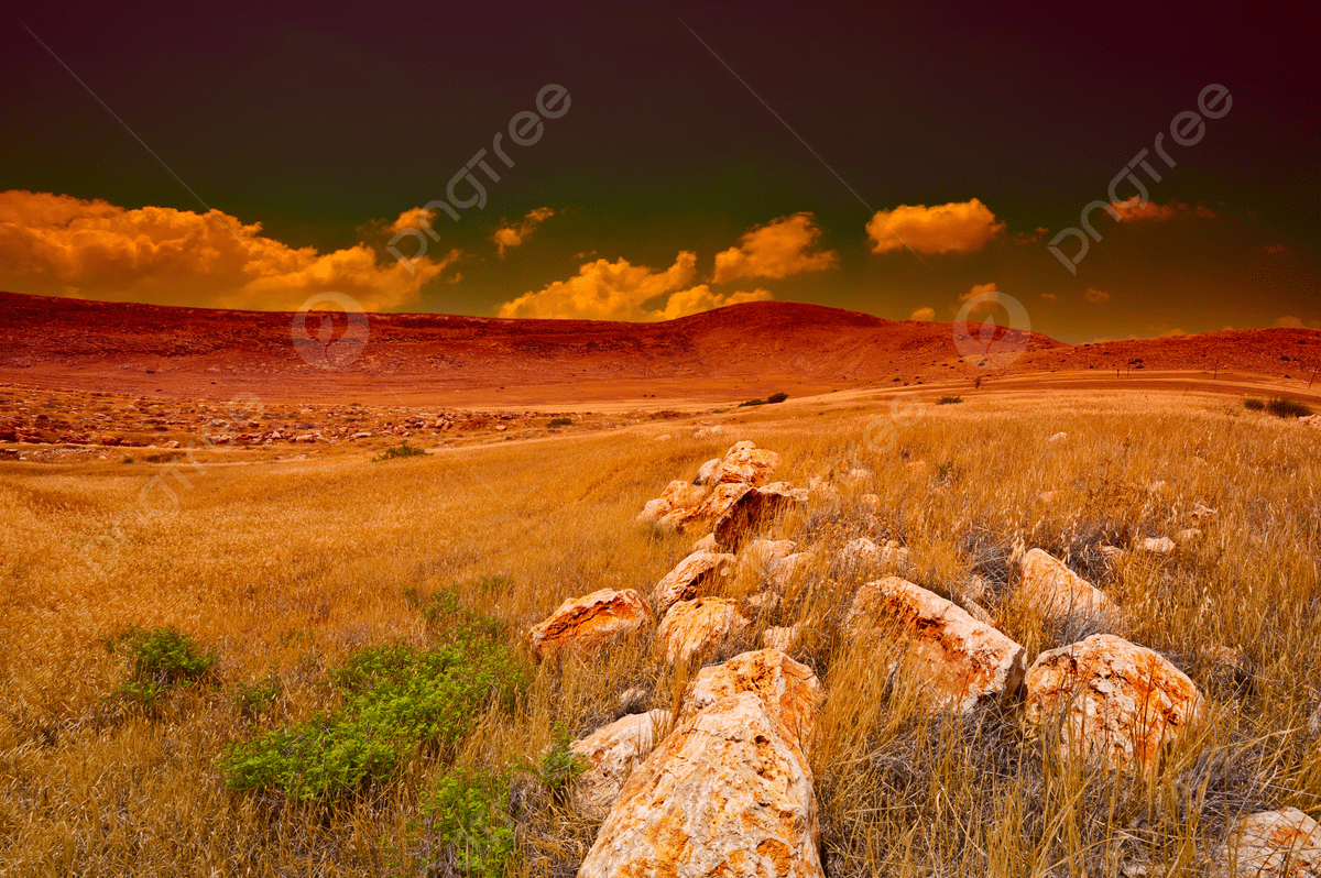 Samaria Wallpapers - Top Free Samaria Backgrounds - WallpaperAccess