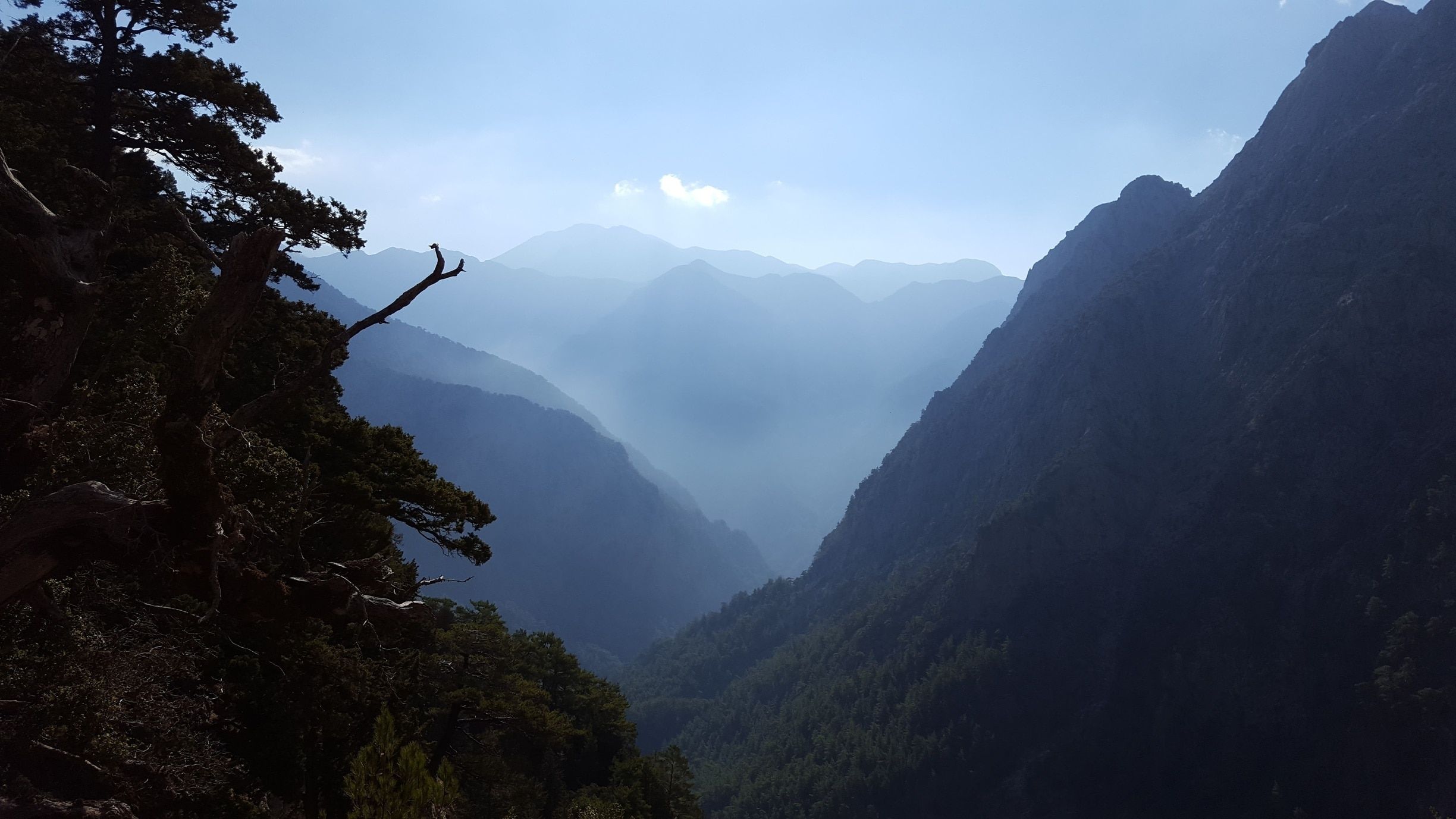 Samaria Wallpapers - Top Free Samaria Backgrounds - WallpaperAccess