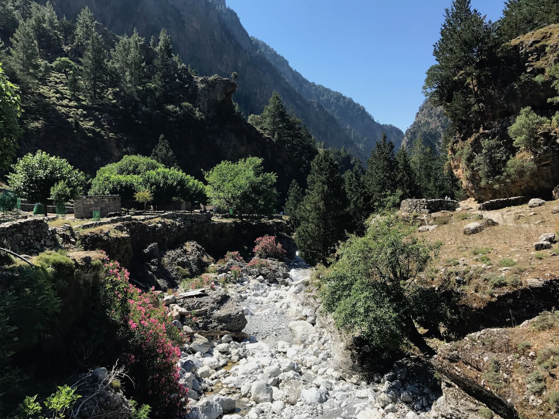 Samaria Wallpapers - Top Free Samaria Backgrounds - WallpaperAccess