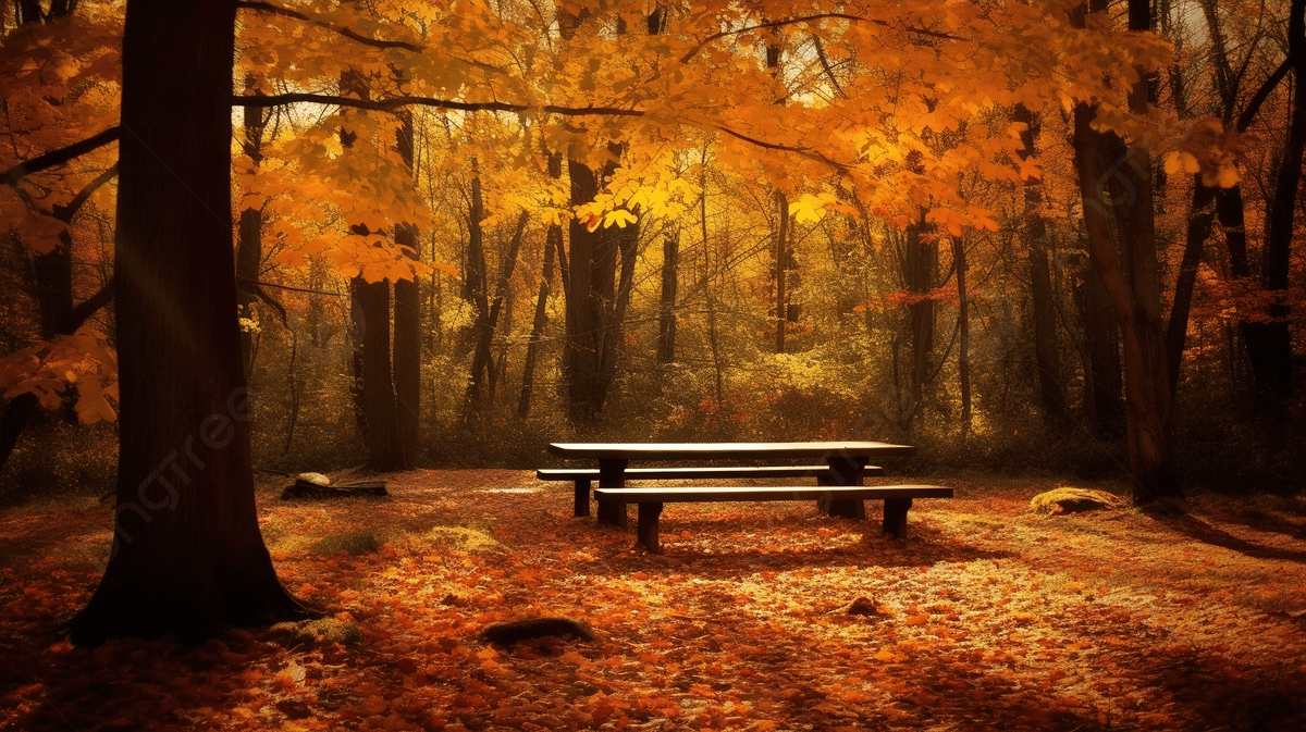 Picnic Table Wallpapers - Top Free Picnic Table Backgrounds - WallpaperAccess