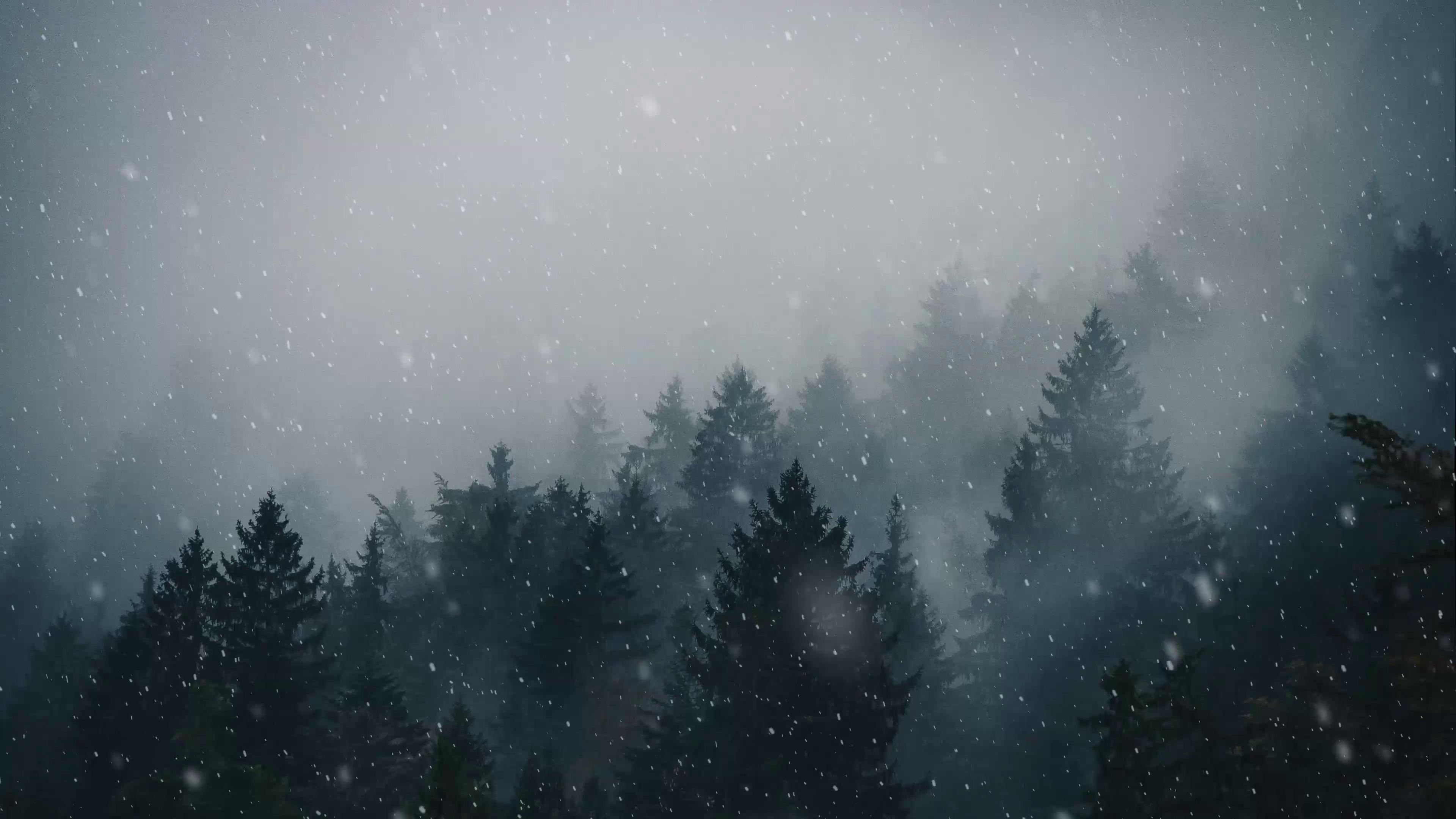 Snowy Woods Wallpapers - Top Free Snowy Woods Backgrounds - WallpaperAccess