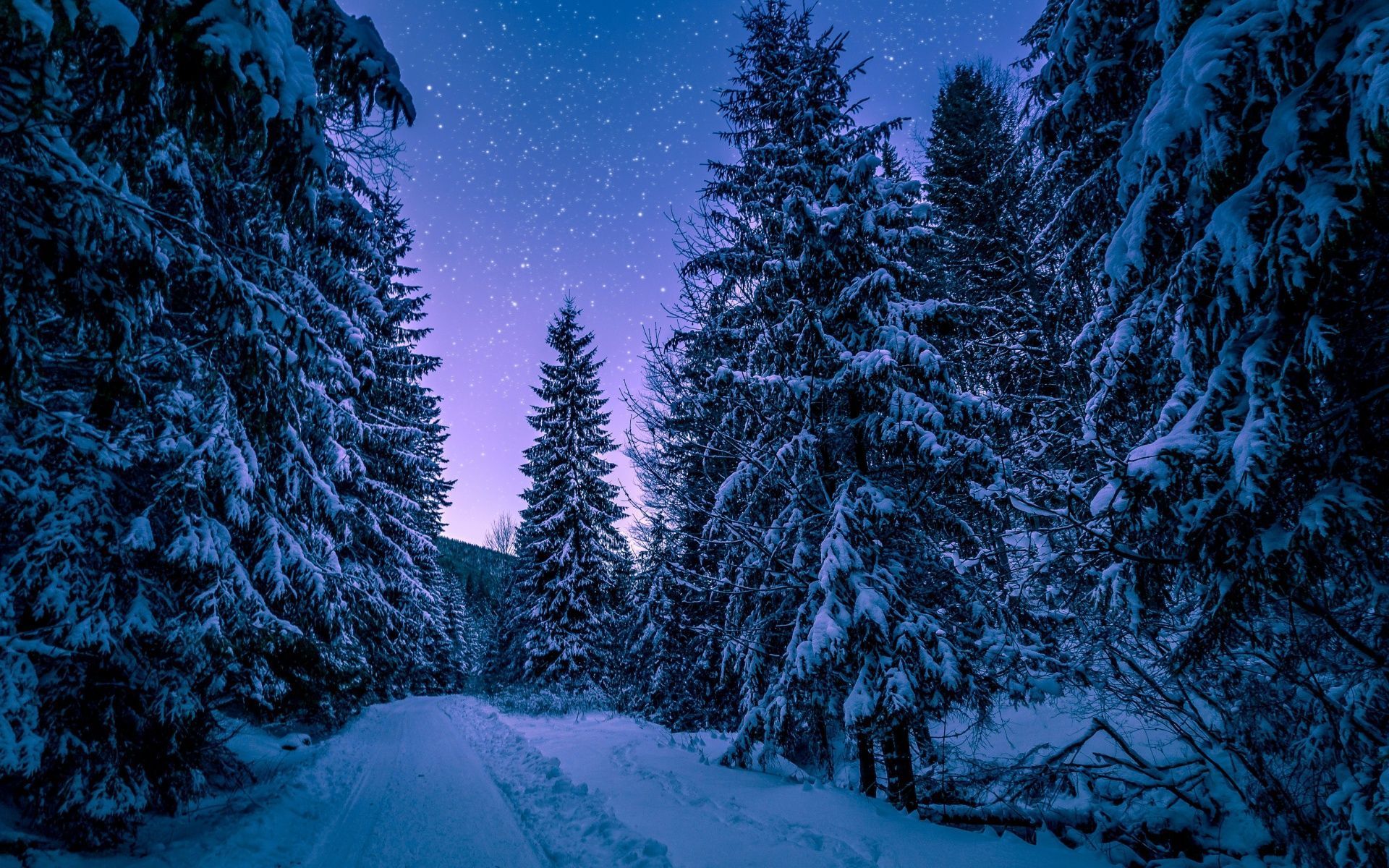 Snowy Woods Wallpapers - Top Free Snowy Woods Backgrounds - WallpaperAccess