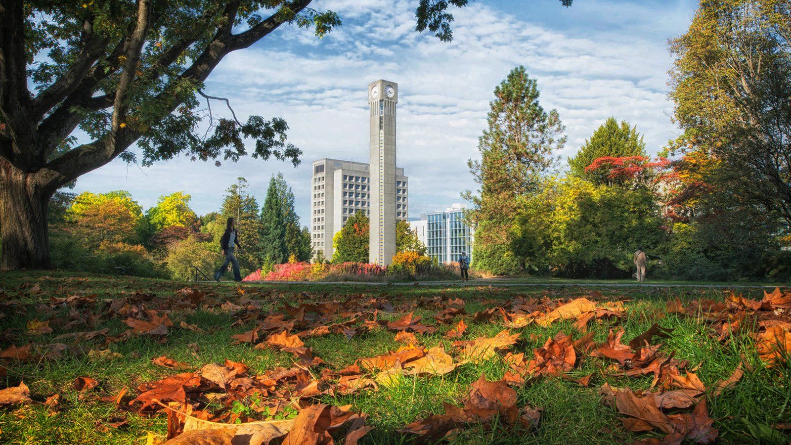 UBC Wallpapers - Top Free UBC Backgrounds - WallpaperAccess