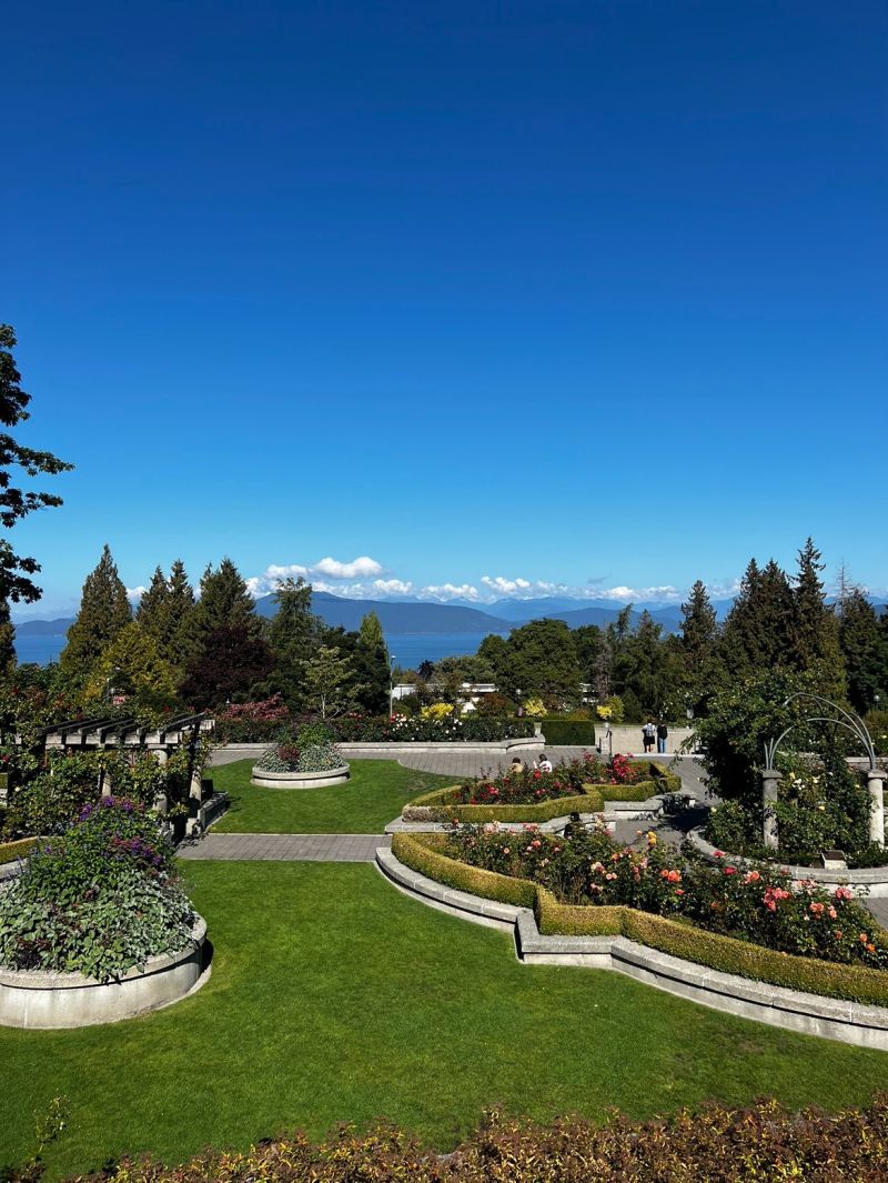 UBC Wallpapers - Top Free UBC Backgrounds - WallpaperAccess